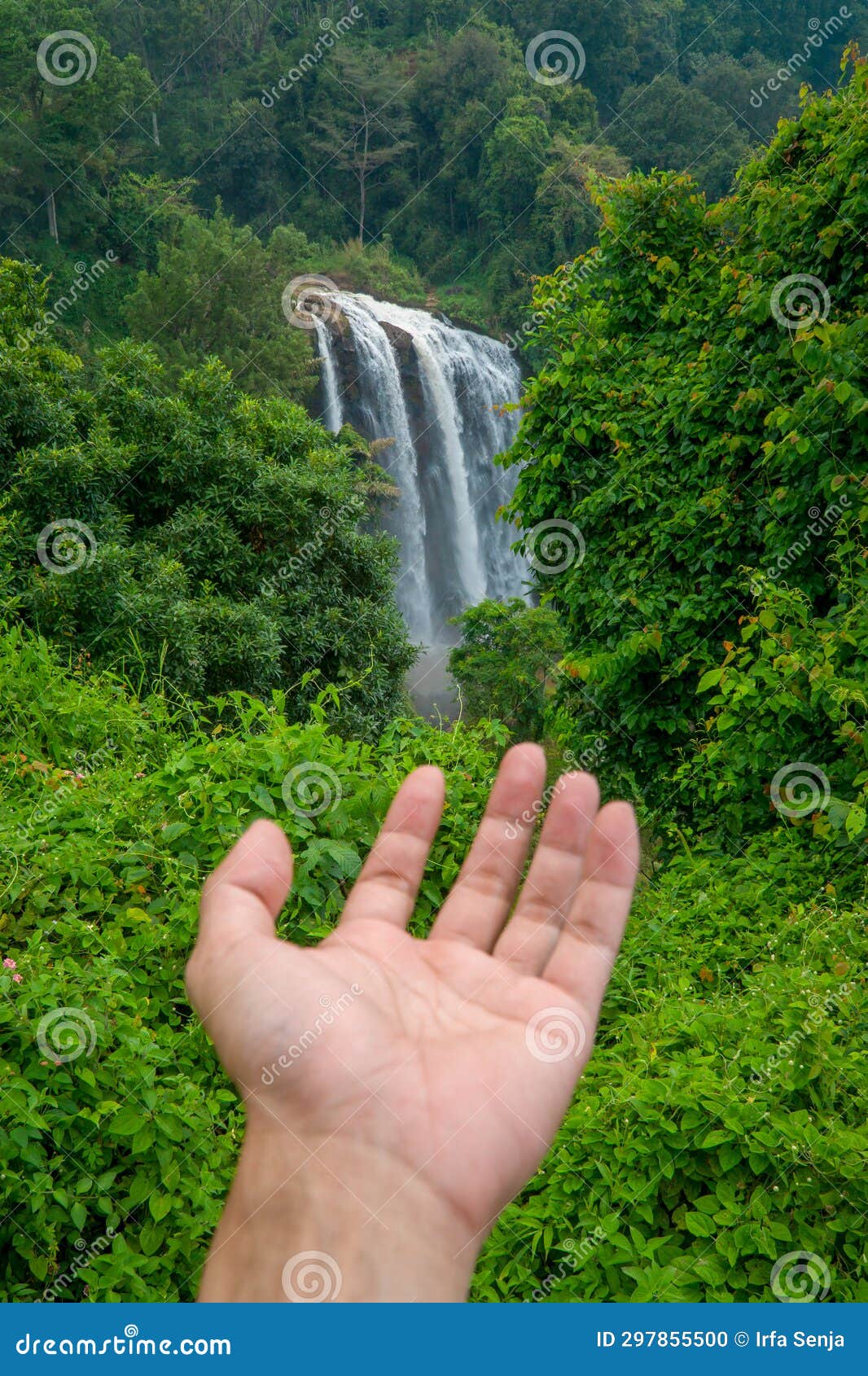 Hands and Waterfalls stock photo. Image of foliage, scene - 297855500