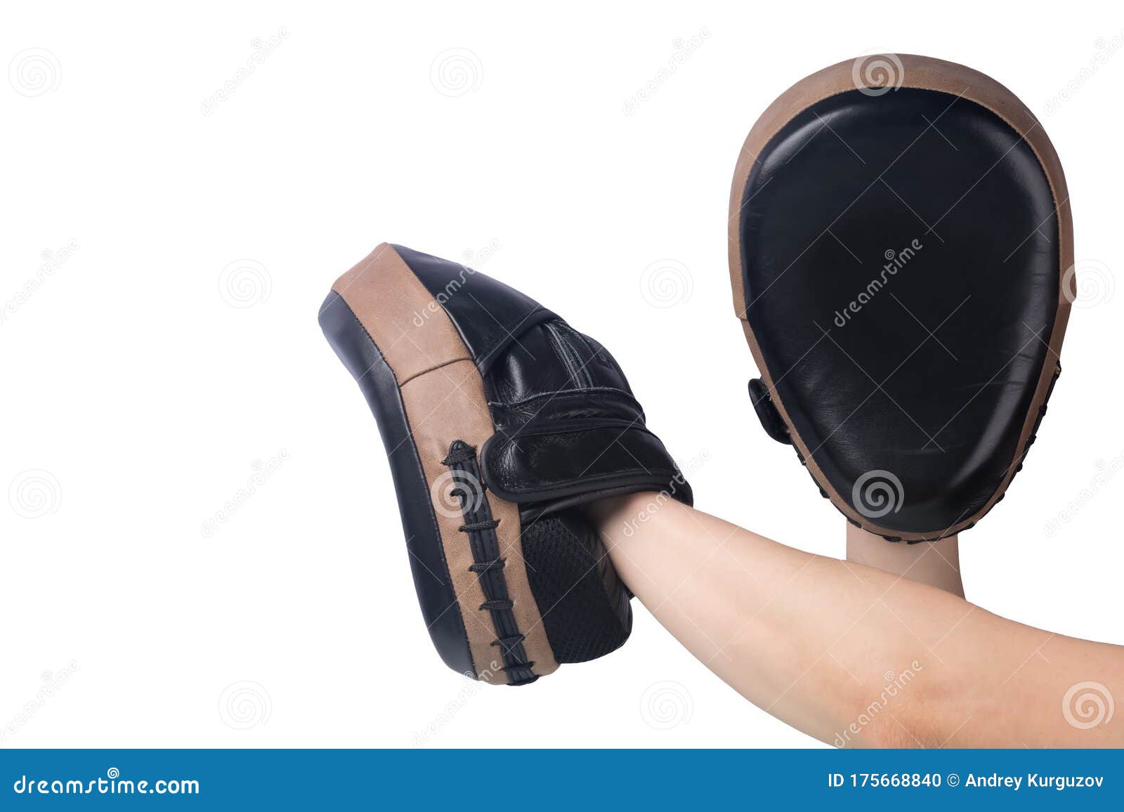 On Hands Wearing Boxing Paws for Training, Isolated on a White ...