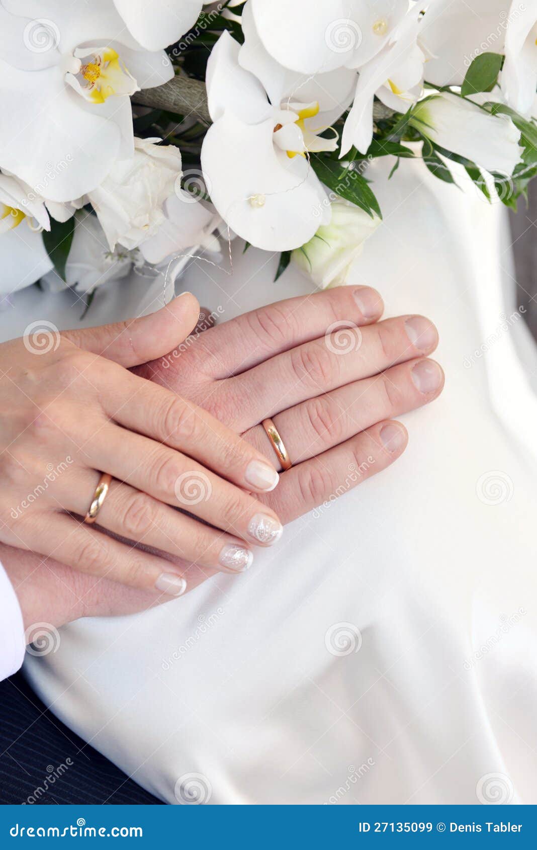 Hands with wedding rings stock image. Image of groom - 27135099