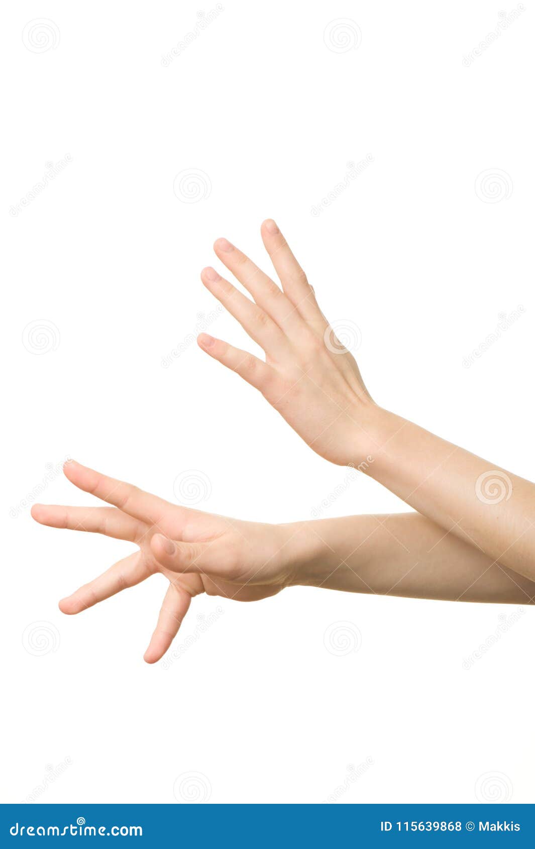 Hands on white background stock photo. Image of body - 115639868