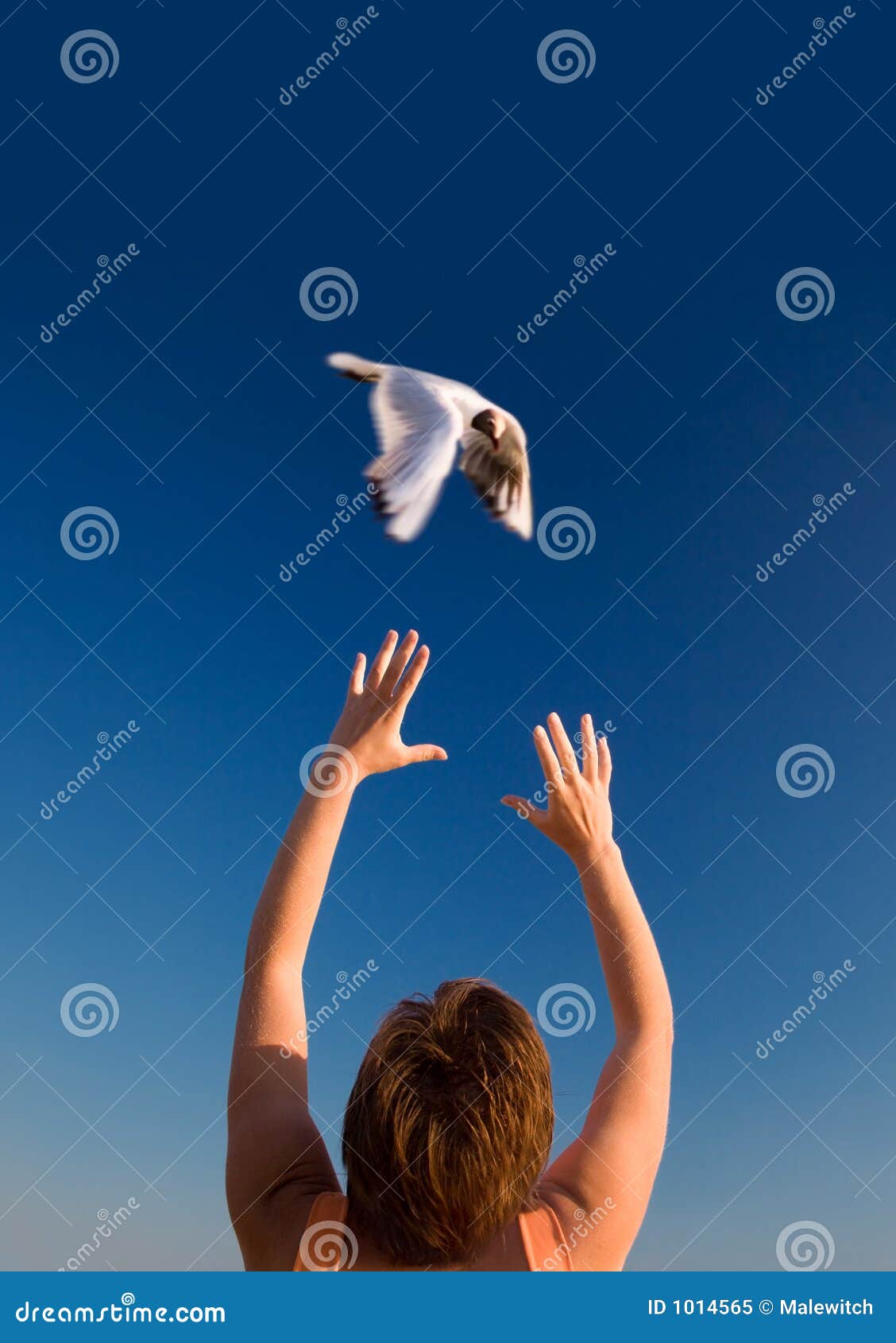 Hands&wings-1 stock image. Image of attempt, movement - 1014565