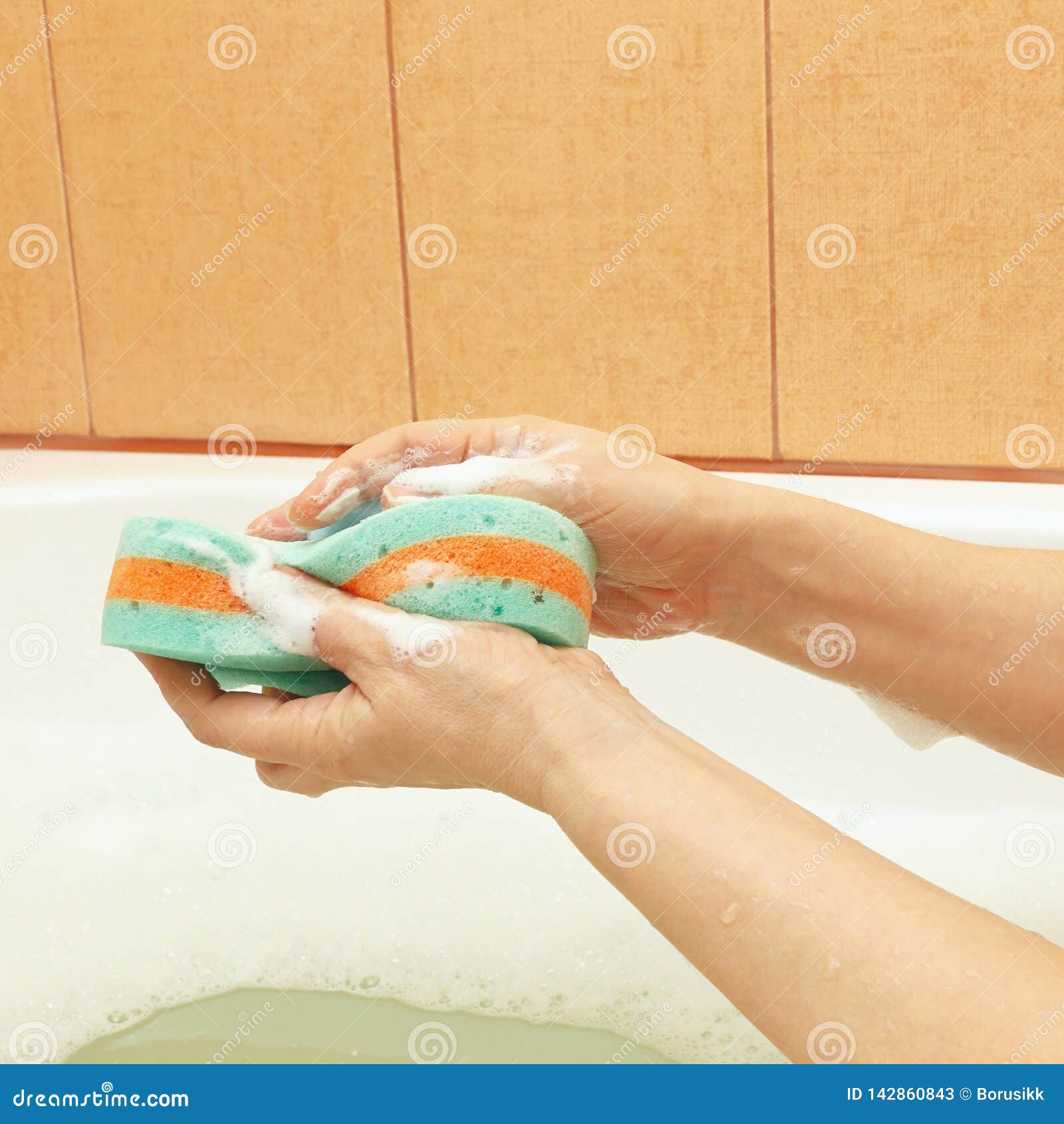 Hands of Woman Lathering Green Sponge with Soap Stock Image - Image of ...