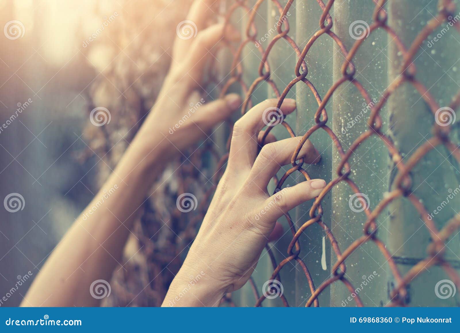 Hands of a Woman on Mesh Cage, Escape Concept Stock Photo - Image of ...