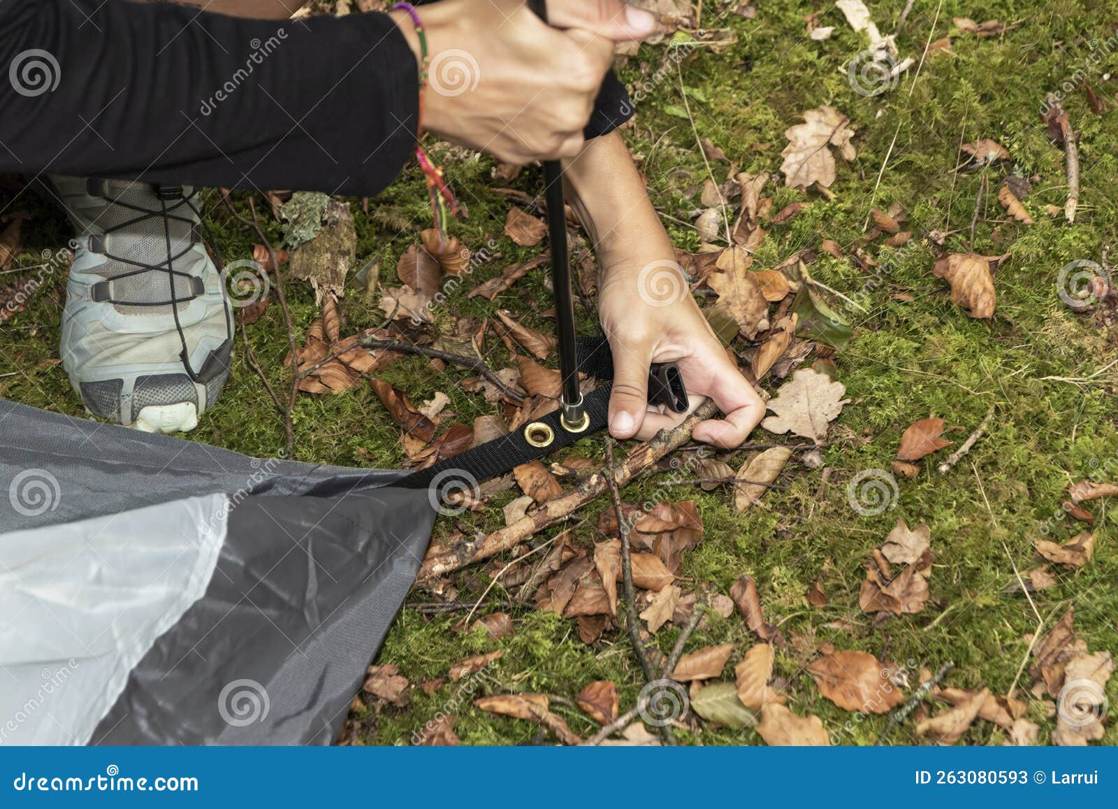 Hands of a Woman Setting Up a Tent Stock Image - Image of detail ...