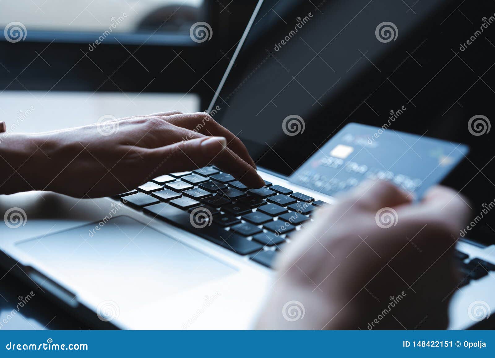 Hands of Woman Shopping in Internet, Making Instant Payment Transaction ...