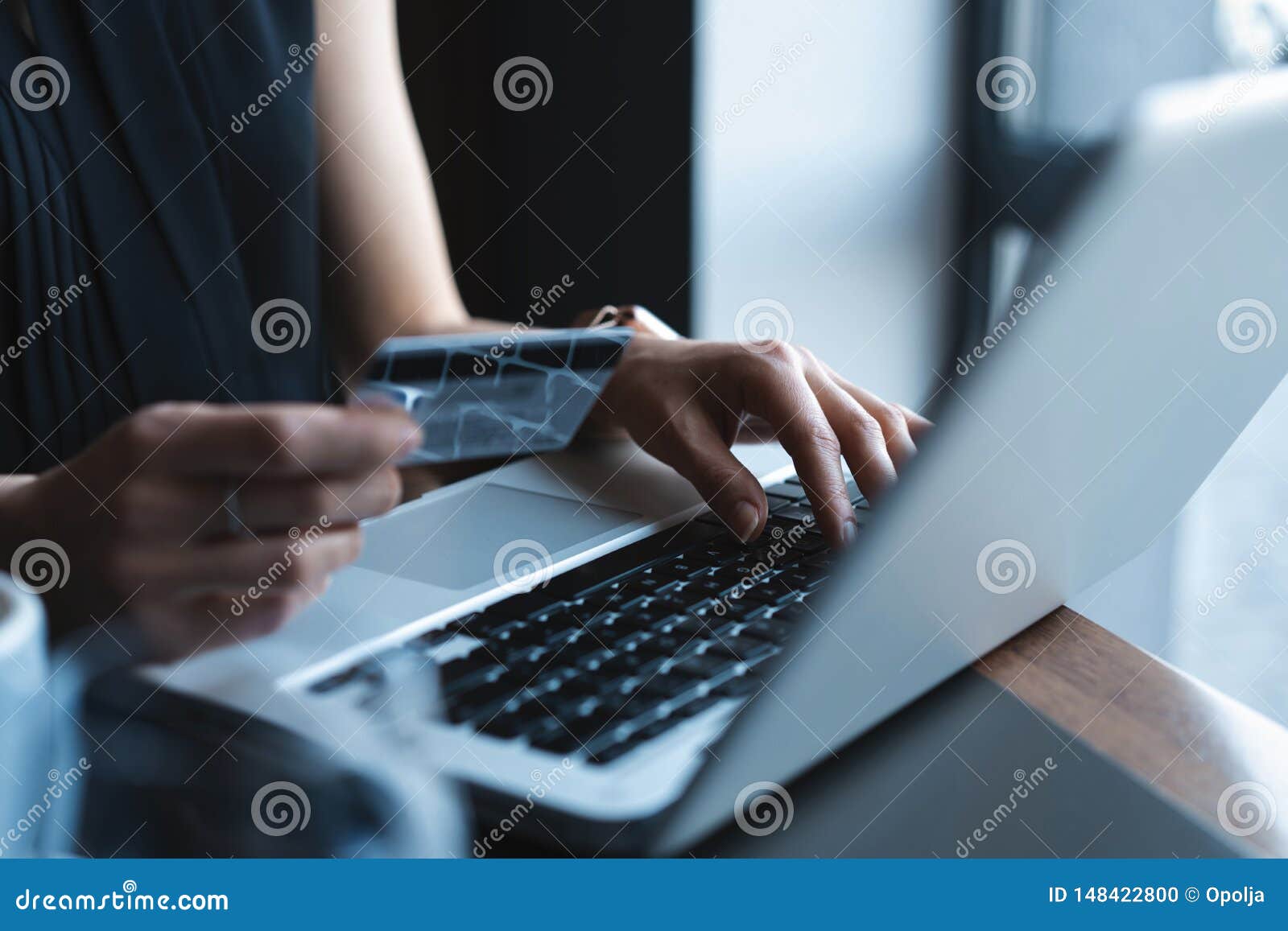 Hands of Woman Shopping in Internet, Making Instant Payment Transaction ...