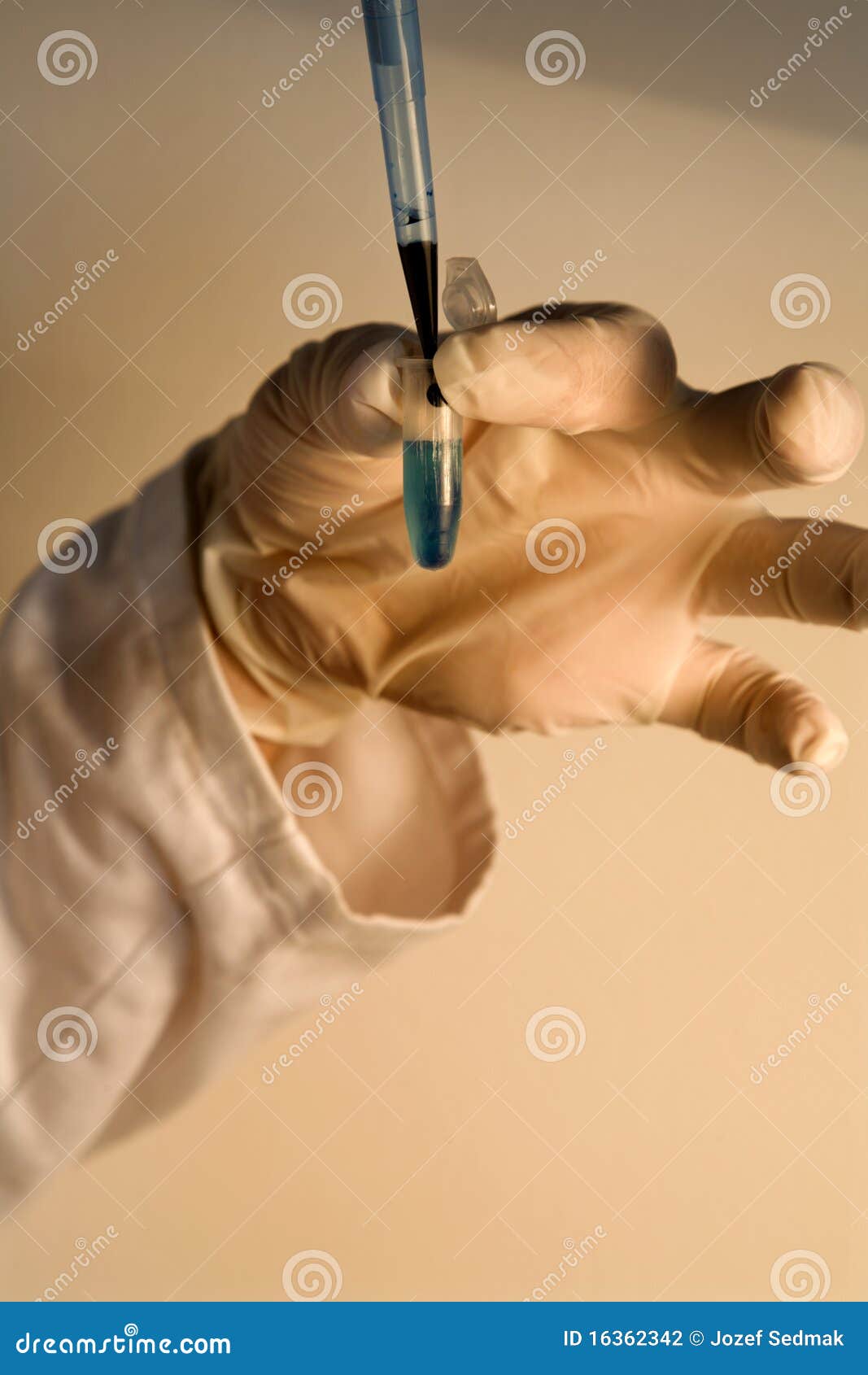 Hands by Work in Laboratory Stock Photo - Image of food, work: 16362342