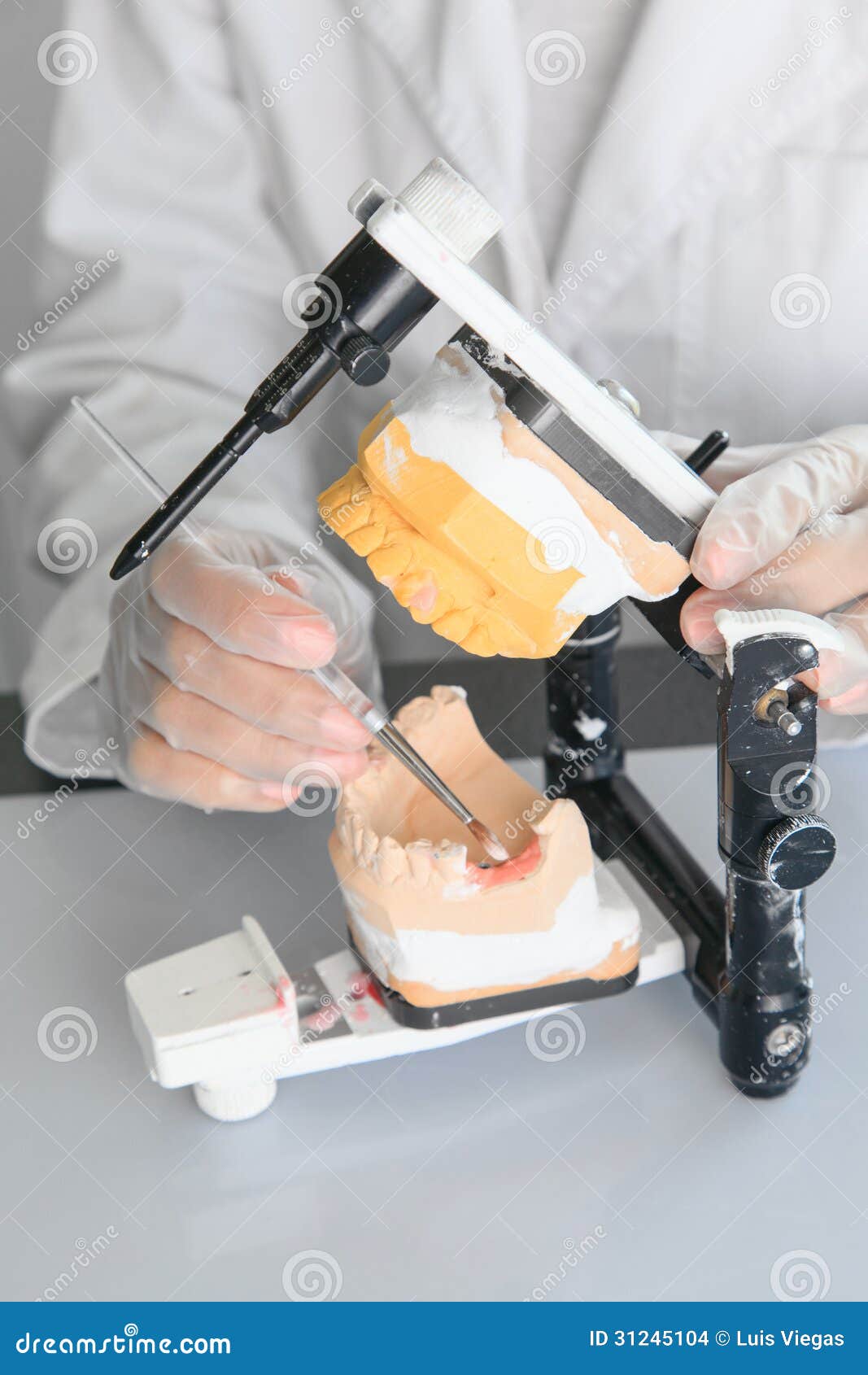 Hands Working on Dental Prosthesis Laboratory Stock Photo - Image of ...