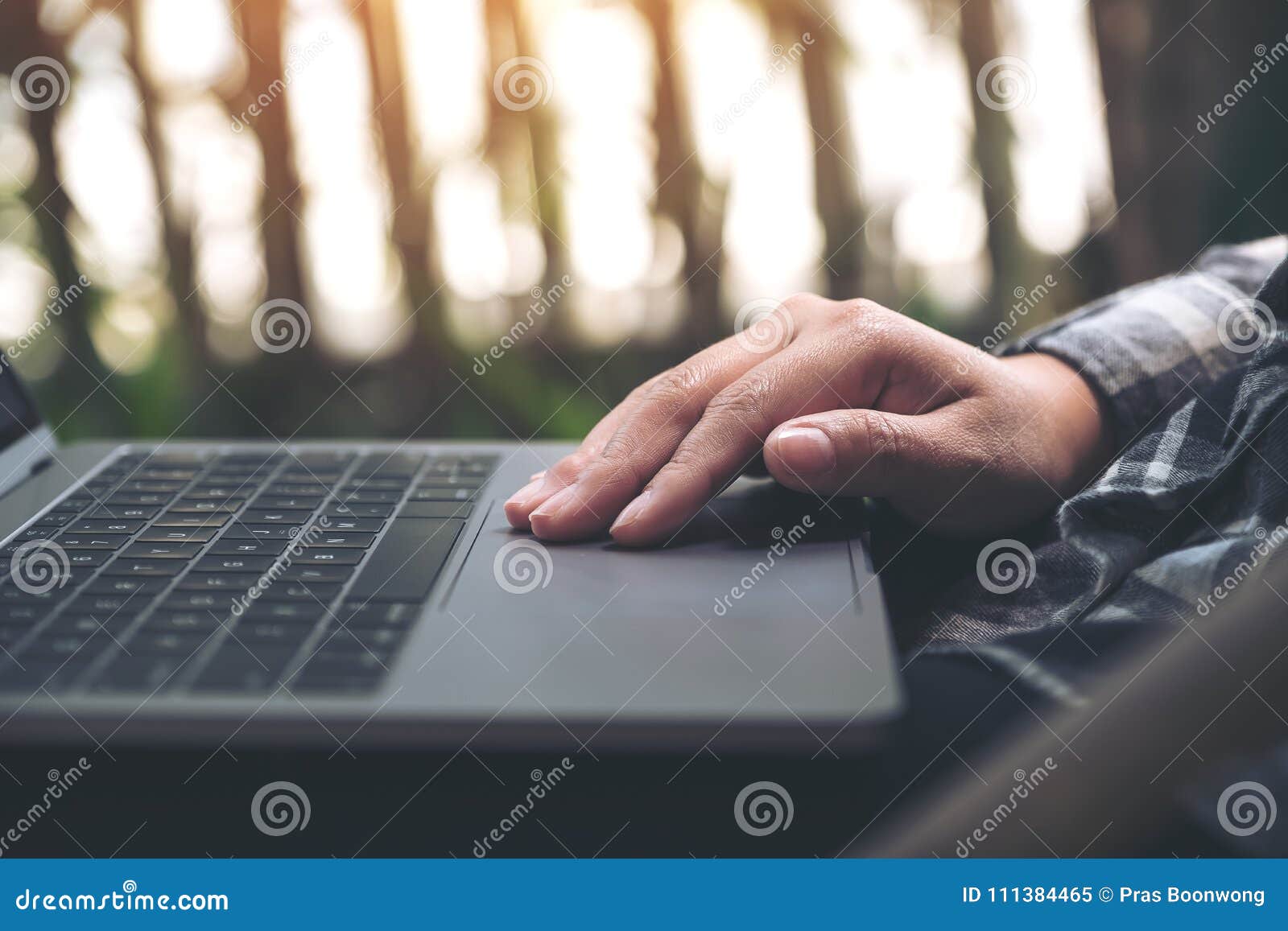 Hands Working , Touching And Typing On Laptop Keyboard With Blur Nature ...