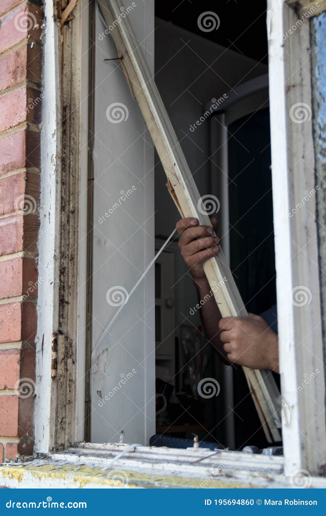 Hands of Workman Pulling Part of Old Wooden Window from Out of Brick ...