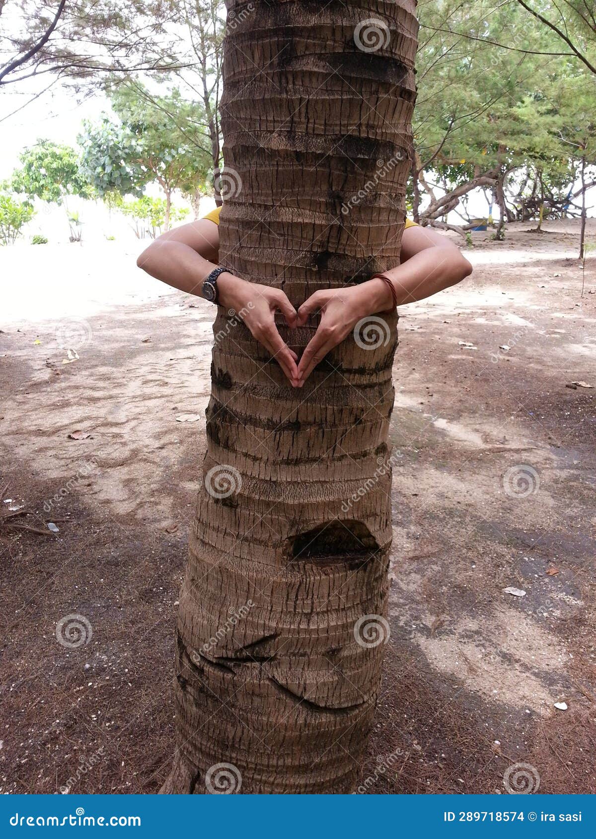 Hands Wrapped Around the Tree Stock Photo - Image of java, wrapped ...