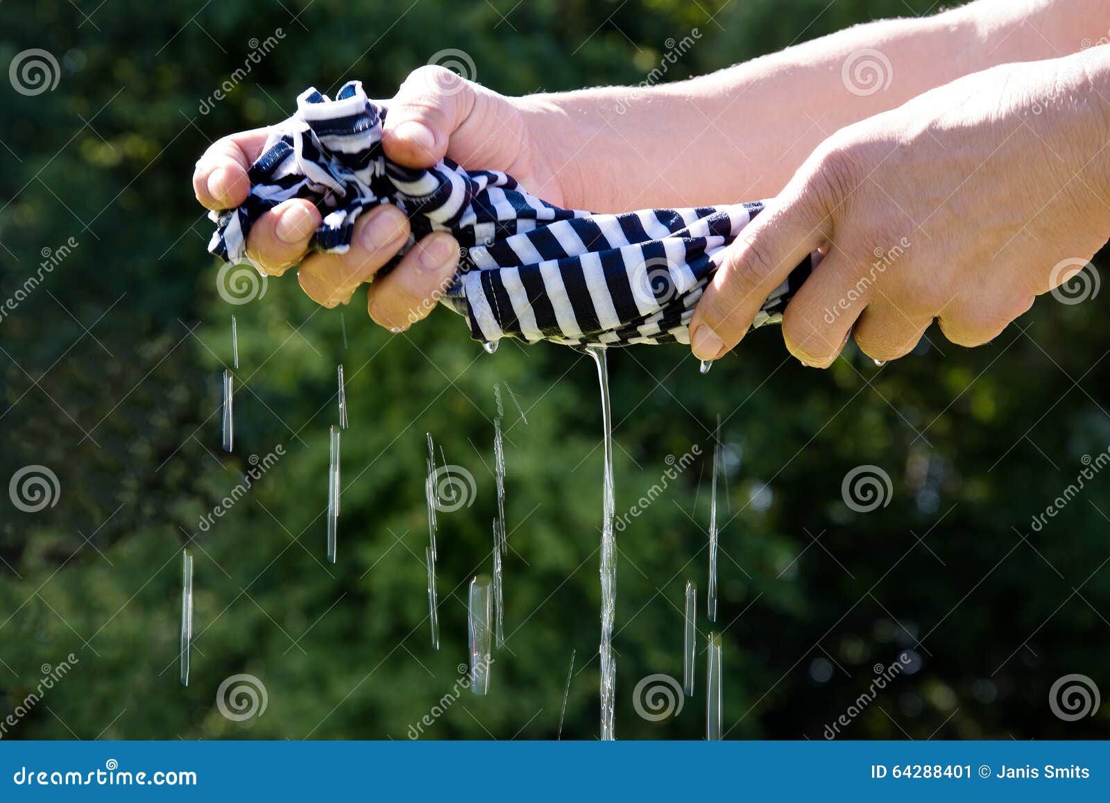 Hands wring out cloth. stock image. Image of drop, hand - 64288401