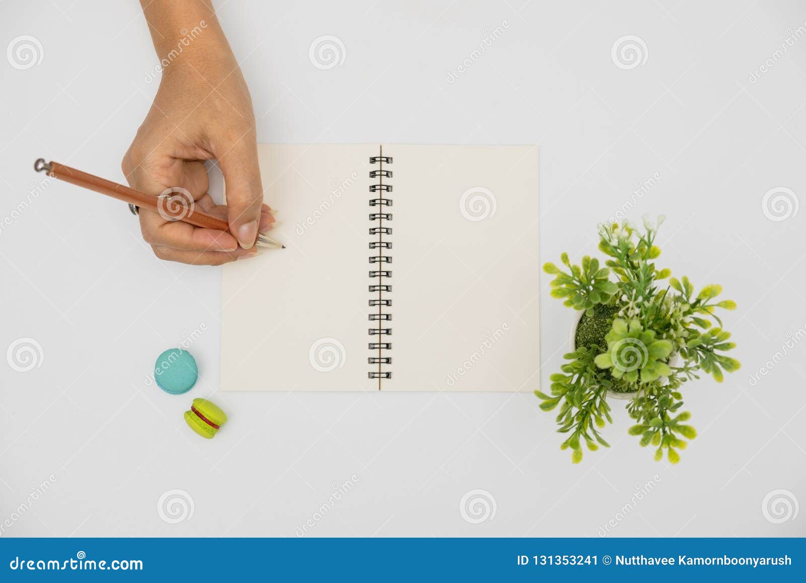 Hands are Writing on the Book. Stock Image - Image of concept ...