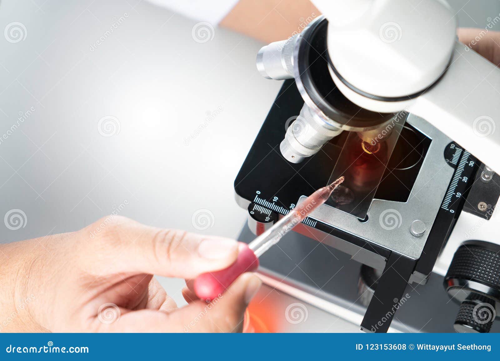 Hands of Young Asian Man and White Microscope in Science Laboratory ...