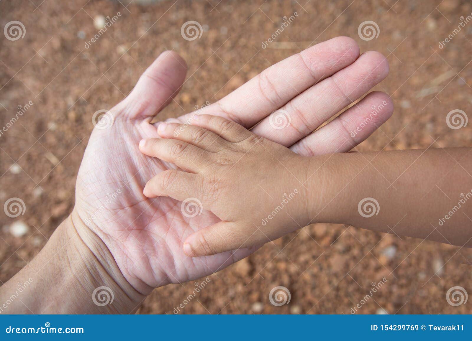 Hands of Young Child and Adult Stock Image - Image of body, green ...