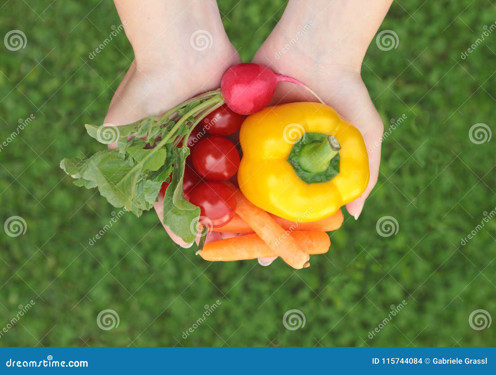 Hands of a Woman Holding Fresh Vegetables Stock Photo - Image of grass ... Hands of a Woman Holding Fresh Vegetables Stock Photo - Image of grass ...