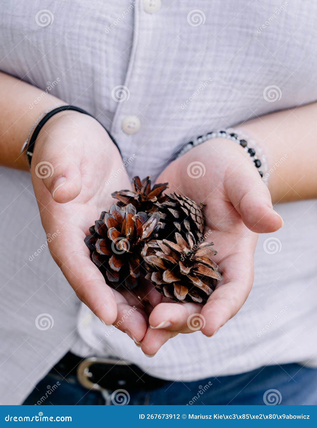 Hands holding cones stock photo. Image of element, closeup - 267673912
