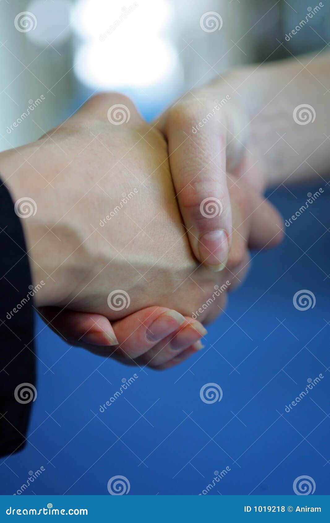 Handshake stock photo. Image of female, partnership, corporate - 1019218