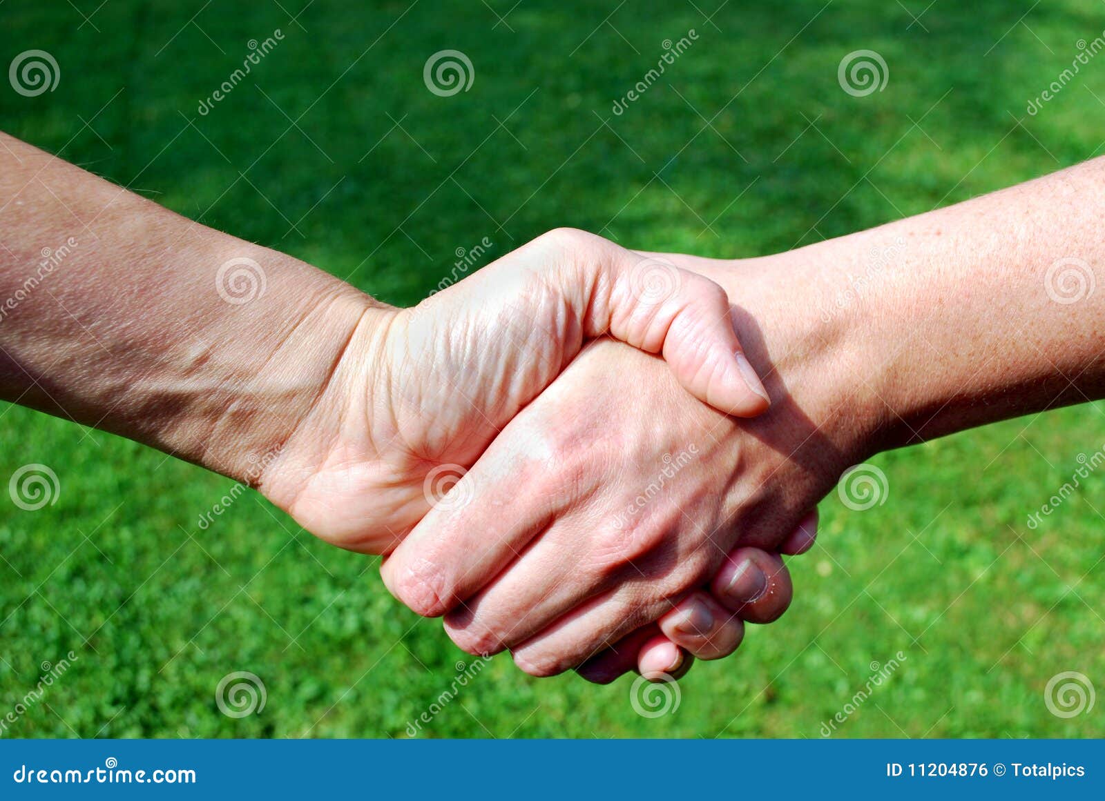 Handshake stock photo. Image of people, green, hand, female - 11204876
