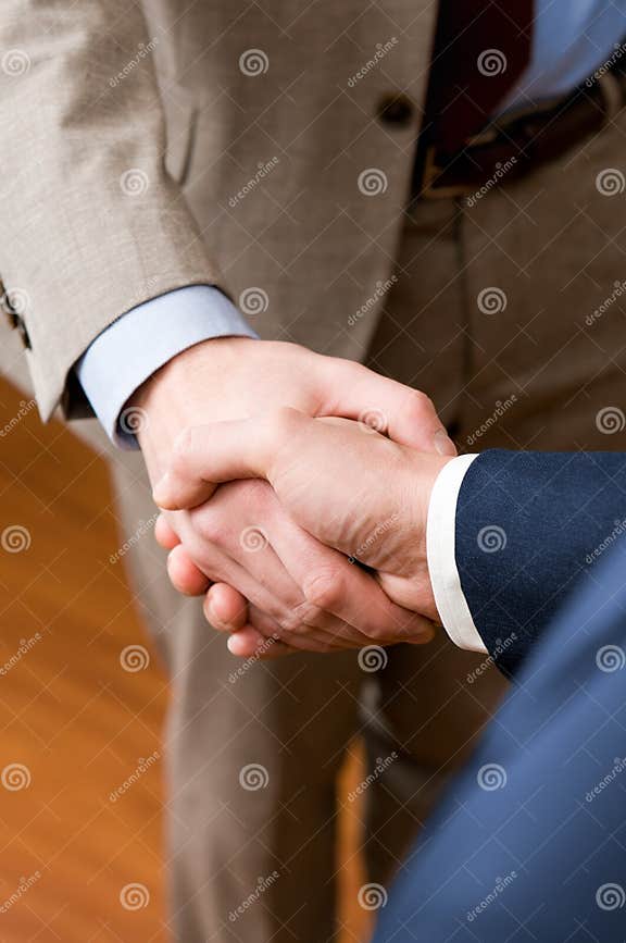Handshake stock photo. Image of handshake, greeting, deal - 13340814