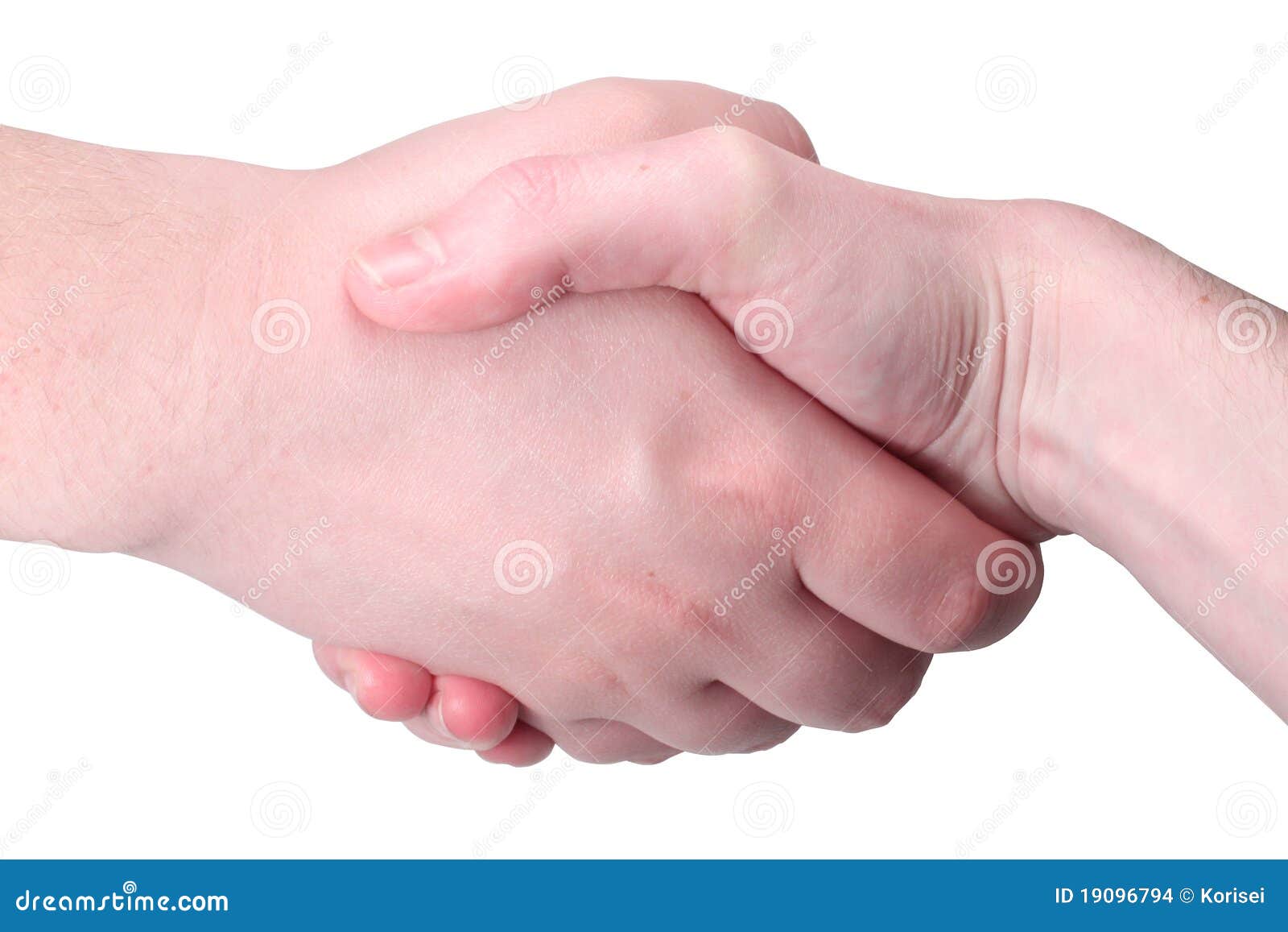 Handshake stock photo. Image of thin, background, wrist - 19096794