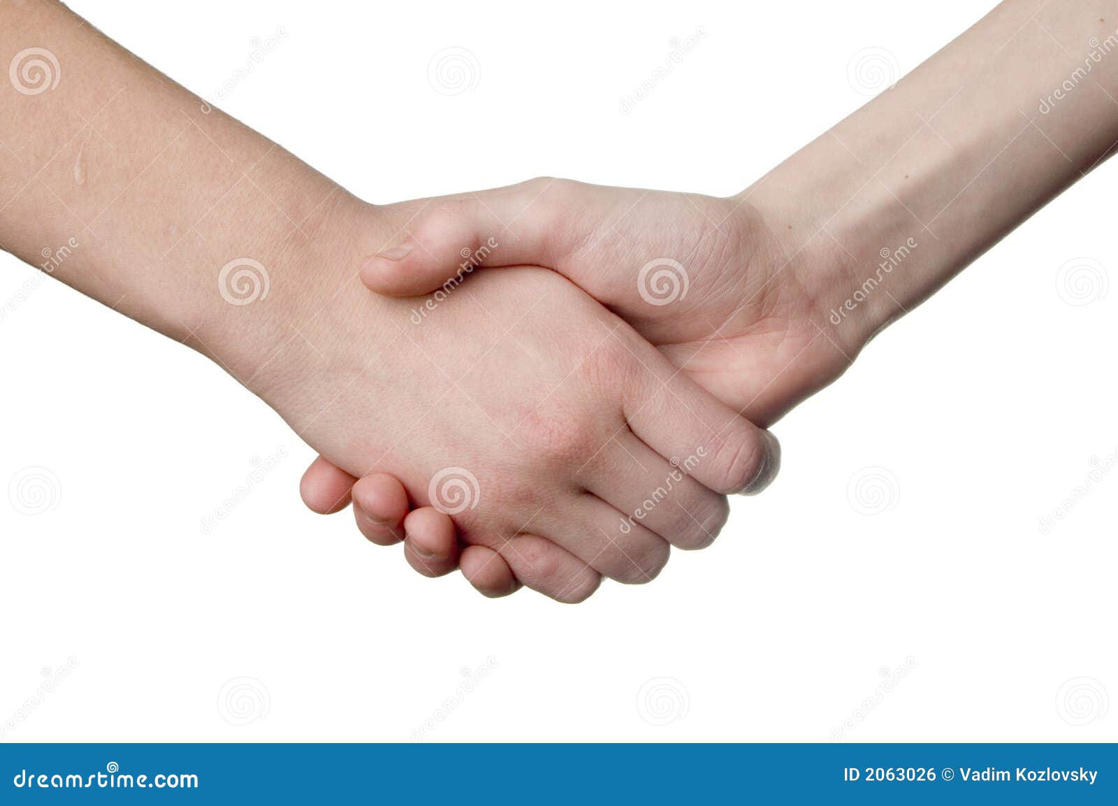 Handshake stock photo. Image of company, handshake, fingers - 2063026