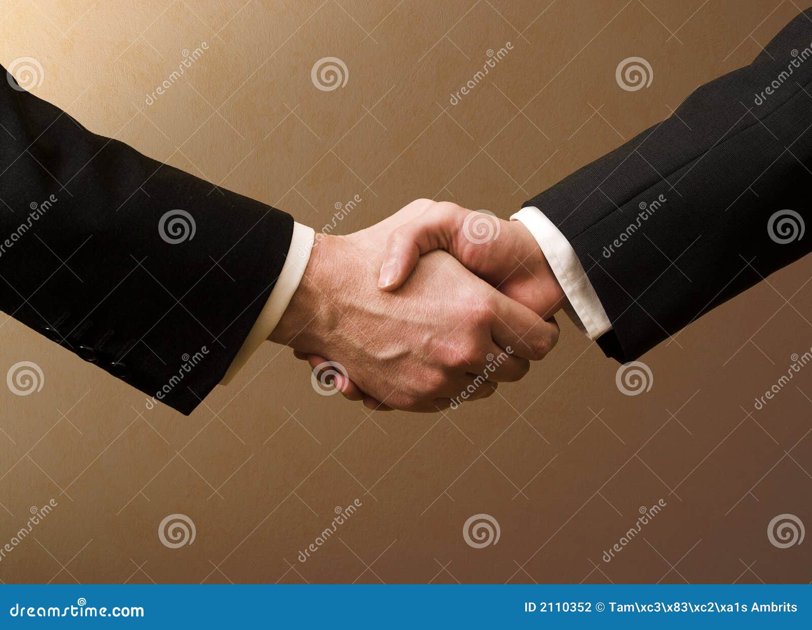Handshake stock photo. Image of handshake, deals, official - 2110352