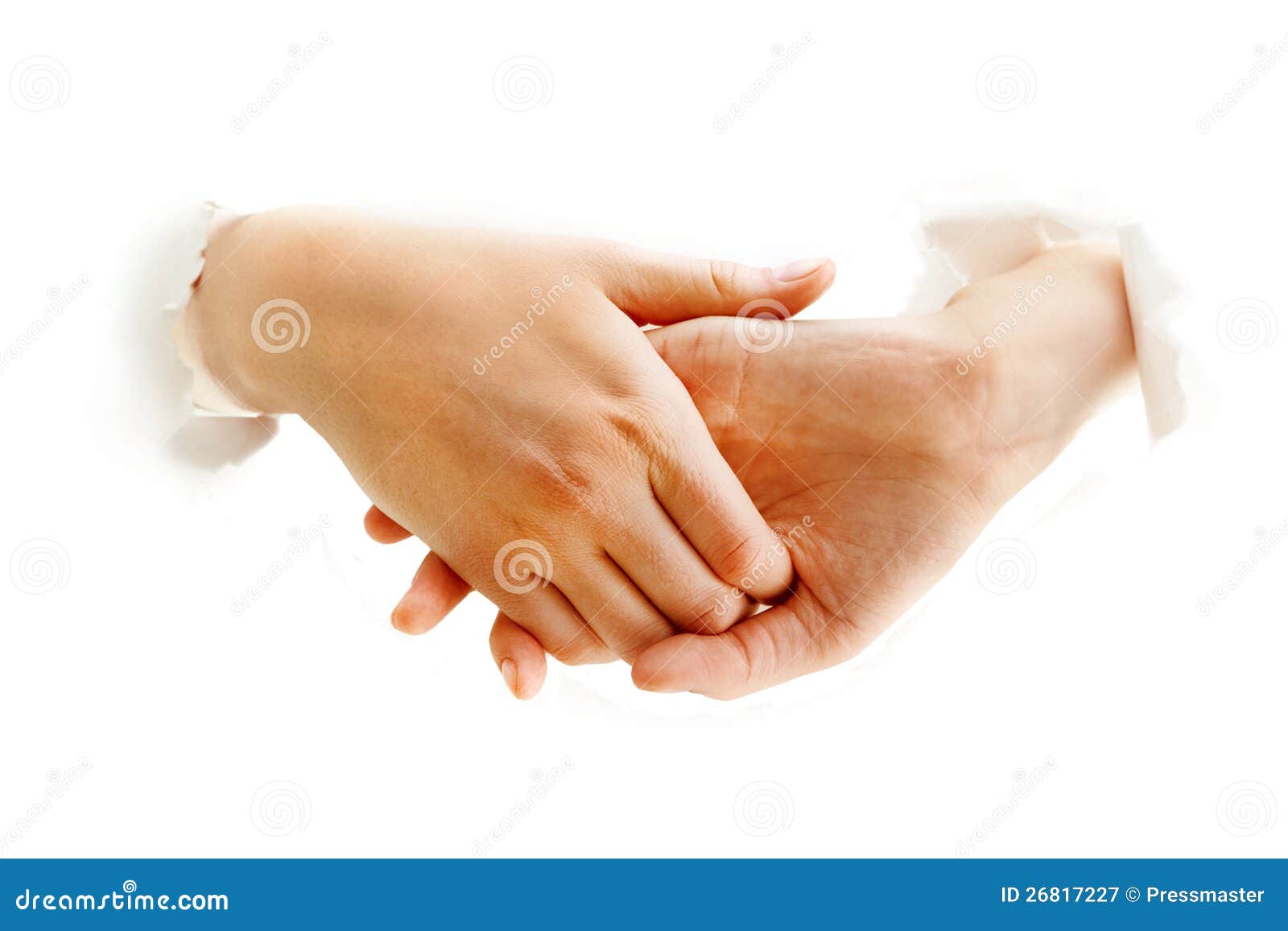 Handshake stock image. Image of hand, human, great, dedicated - 26817227