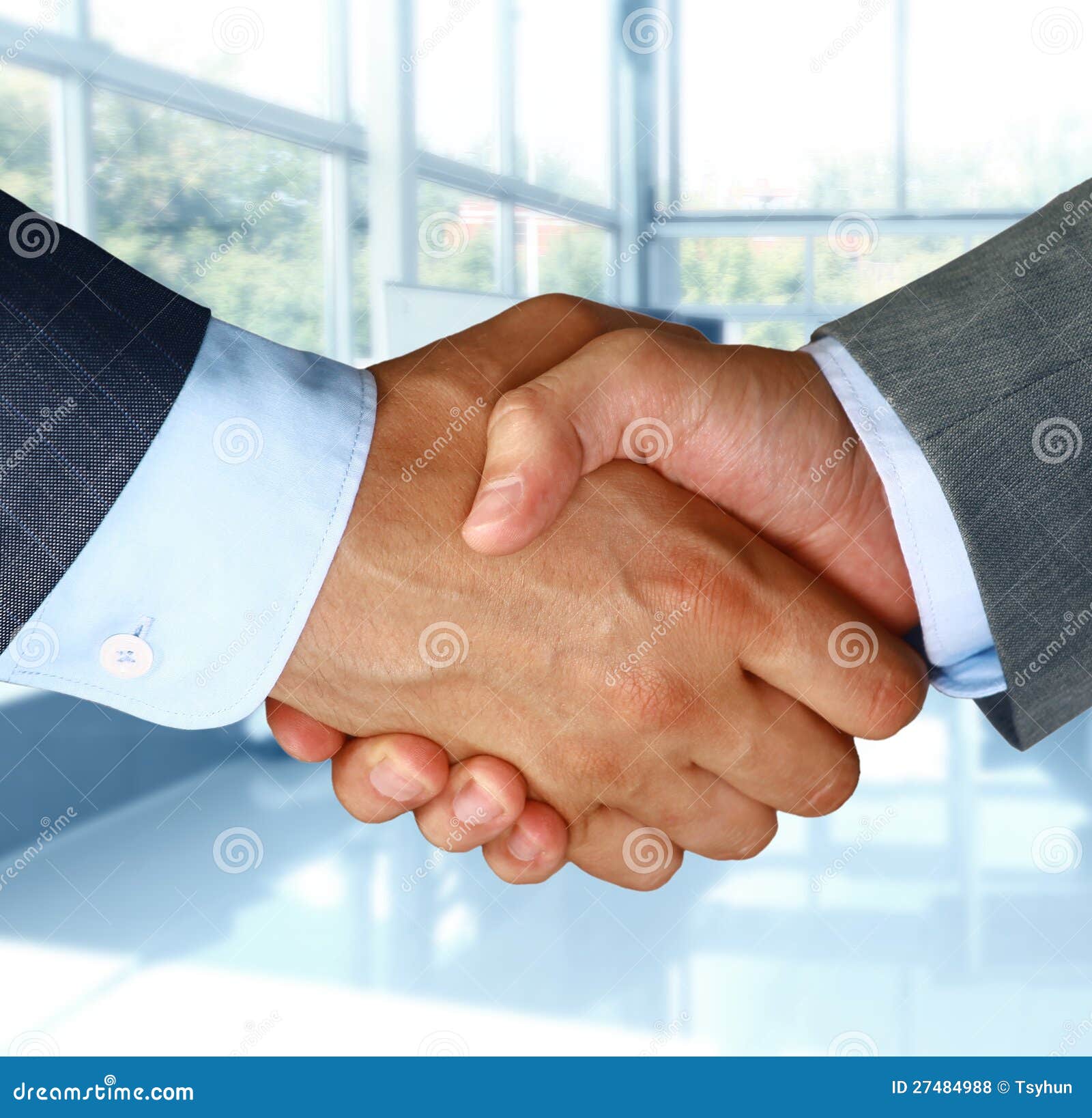 Handshake stock photo. Image of copy, formal, businessman - 27484988
