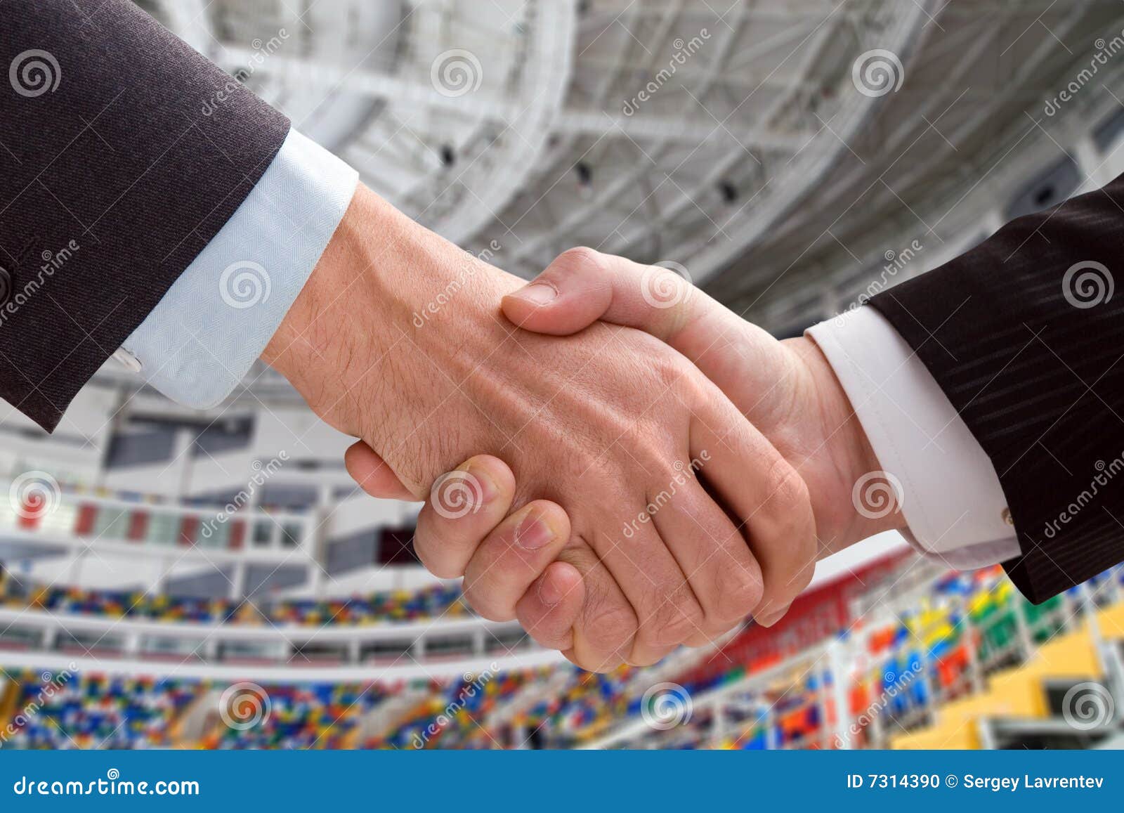 Handshake stock photo. Image of sports, adults, handshake - 7314390
