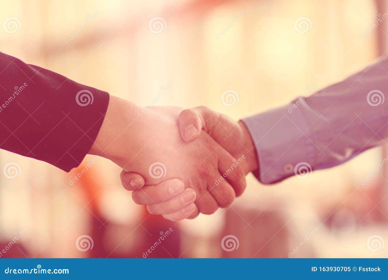 Handshake between African and a Caucasian Man. Stock Image - Image of ...
