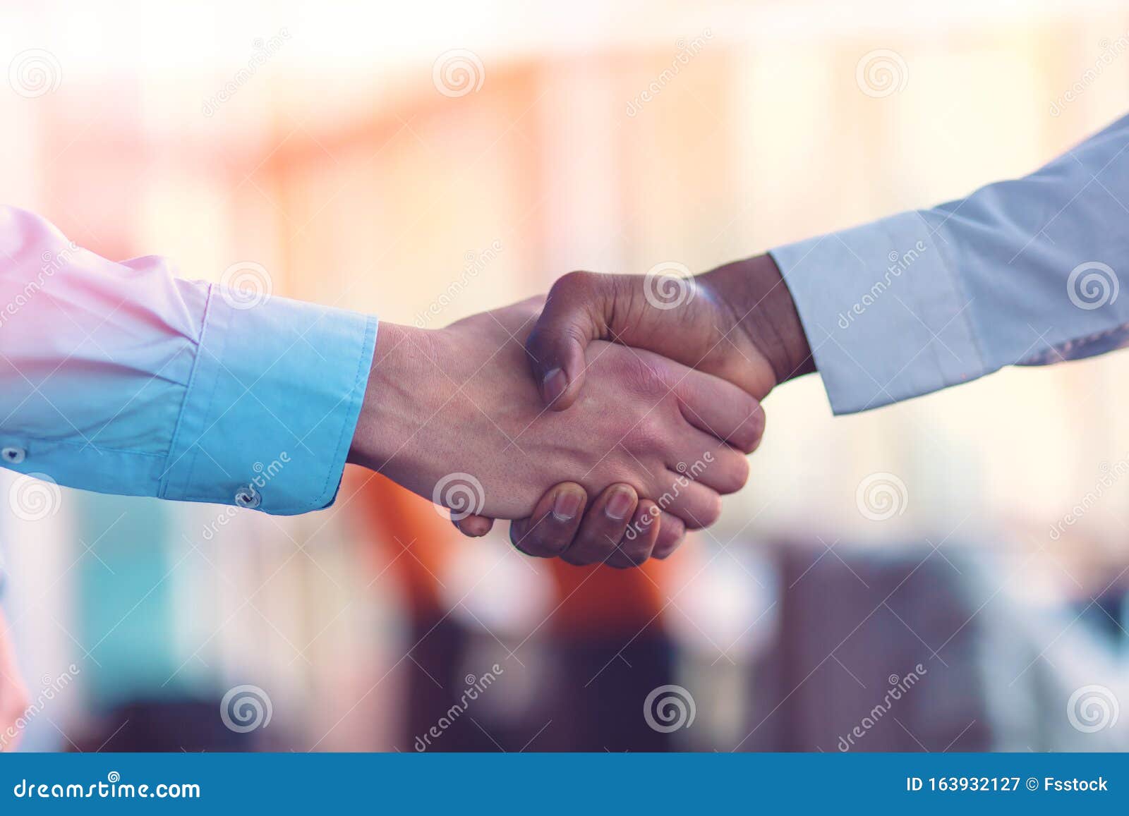 Handshake between African and a Caucasian Man. Stock Image - Image of ...