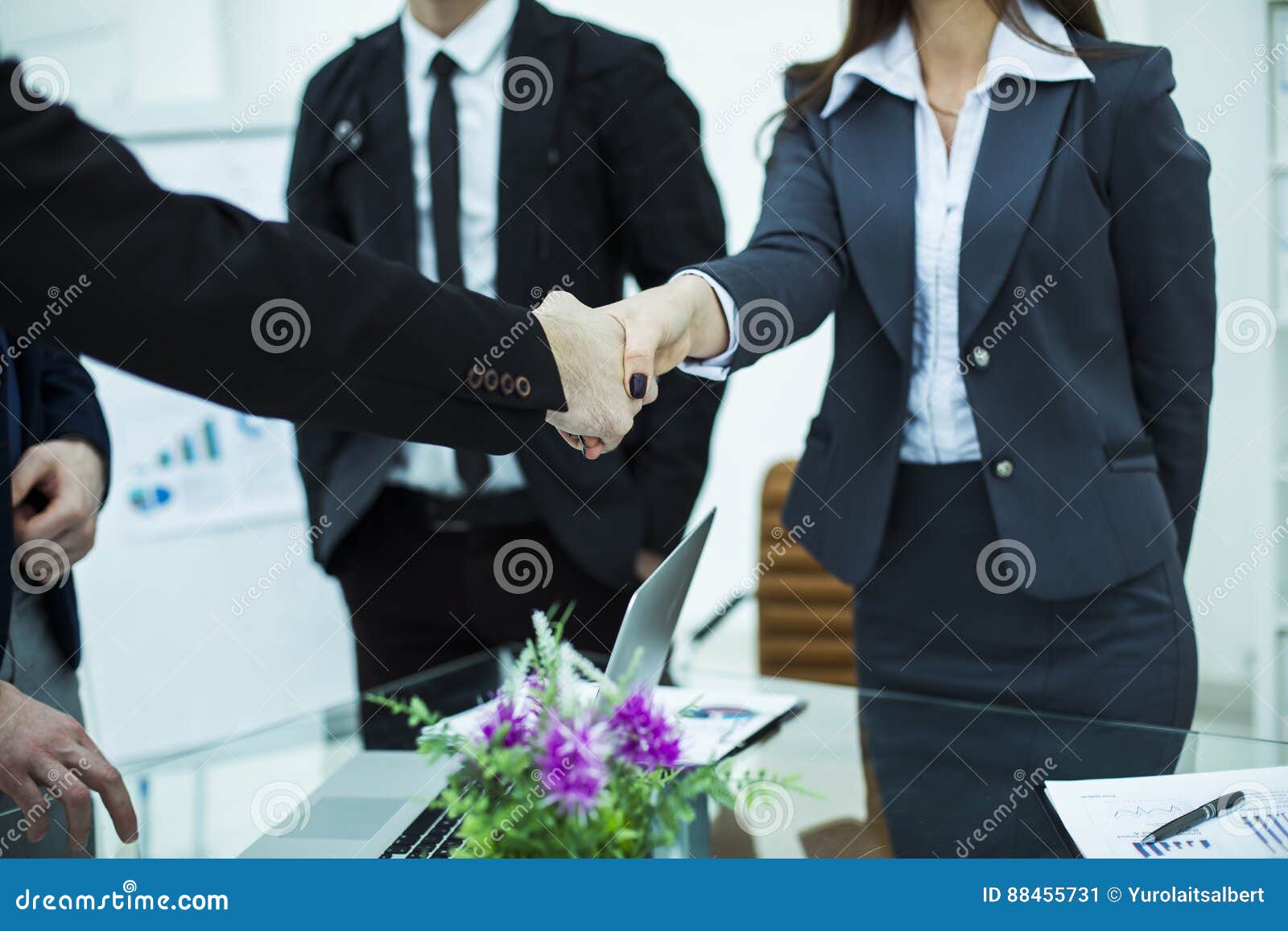 Handshake Business Partners after Discussion of the Contract at the ...