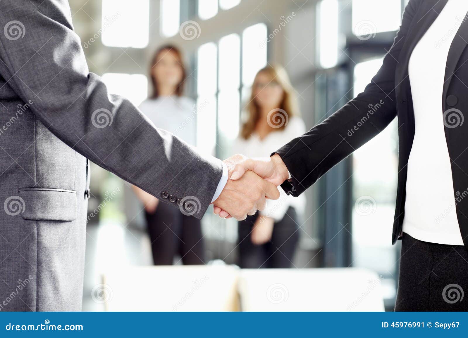 Handshake stock image. Image of suit, professional, human - 45976991