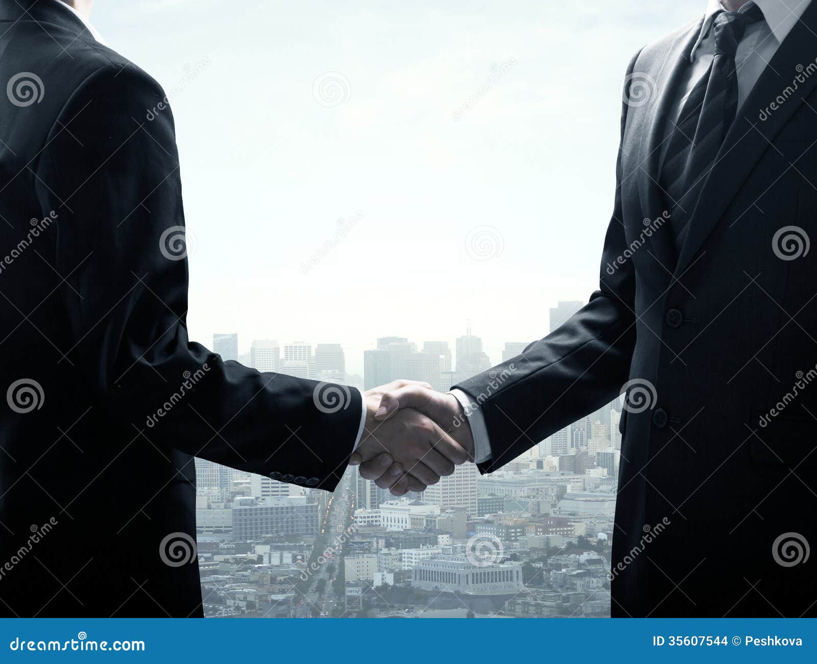 Handshake stock photo. Image of black, professional, idea - 35607544
