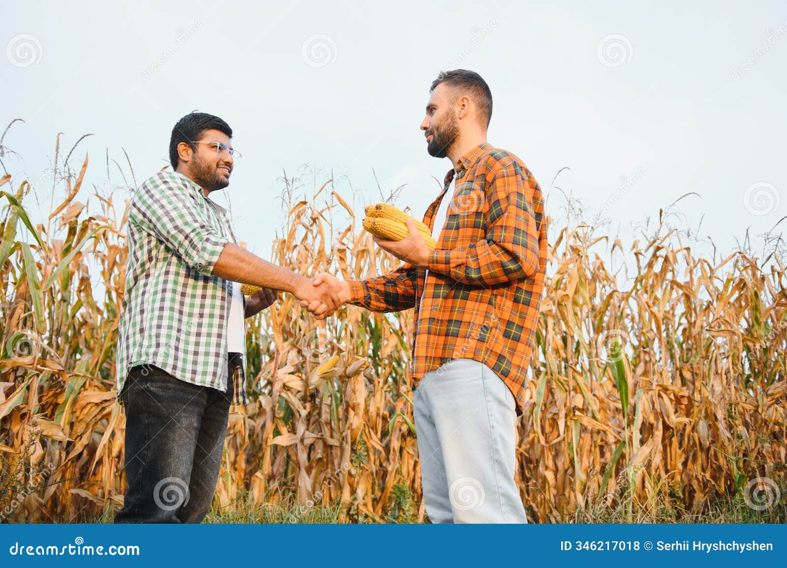 Handshake Farmer Corn. Business a Partnership Agriculture Concept Stock ...