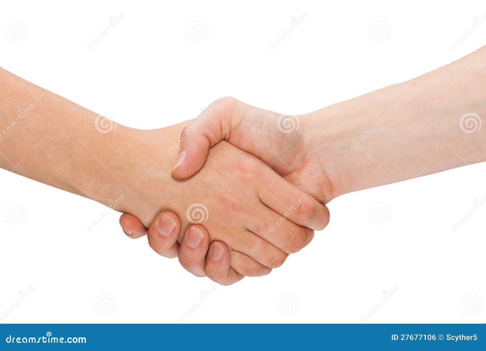 Handshake isolated. stock photo. Image of cooperation - 27677106