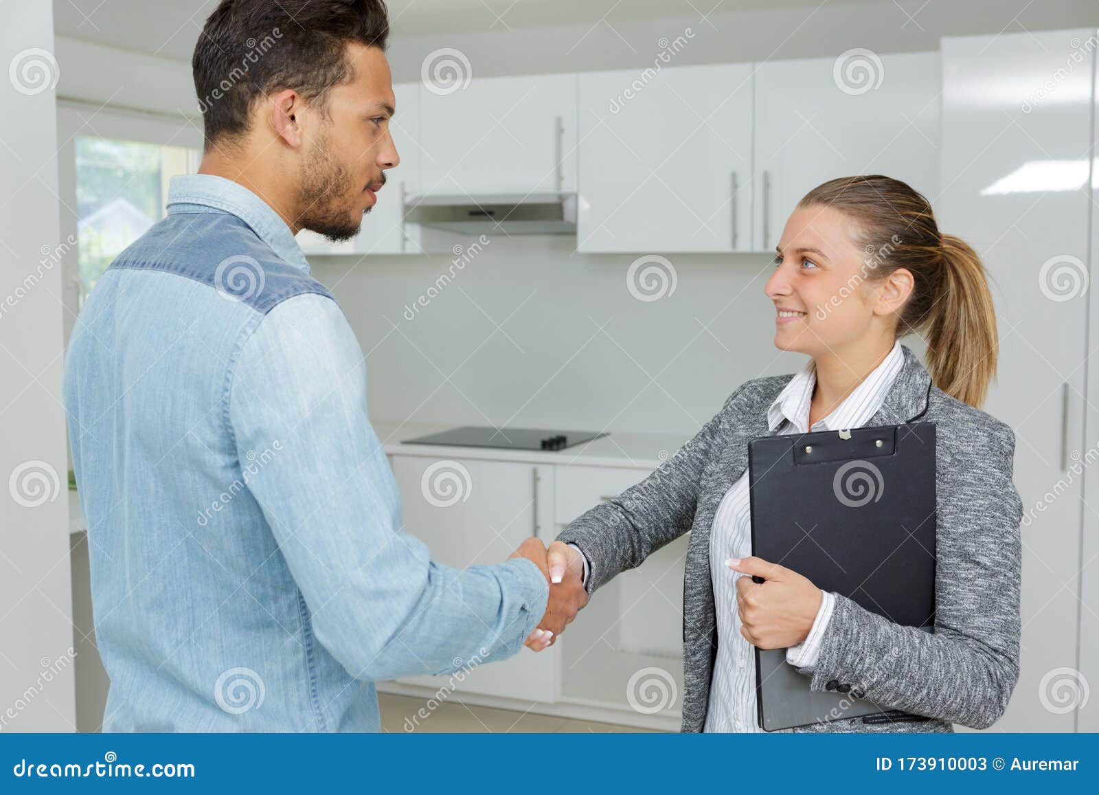 Handshake Manager and Client Stock Image - Image of expert, hand: 173910003