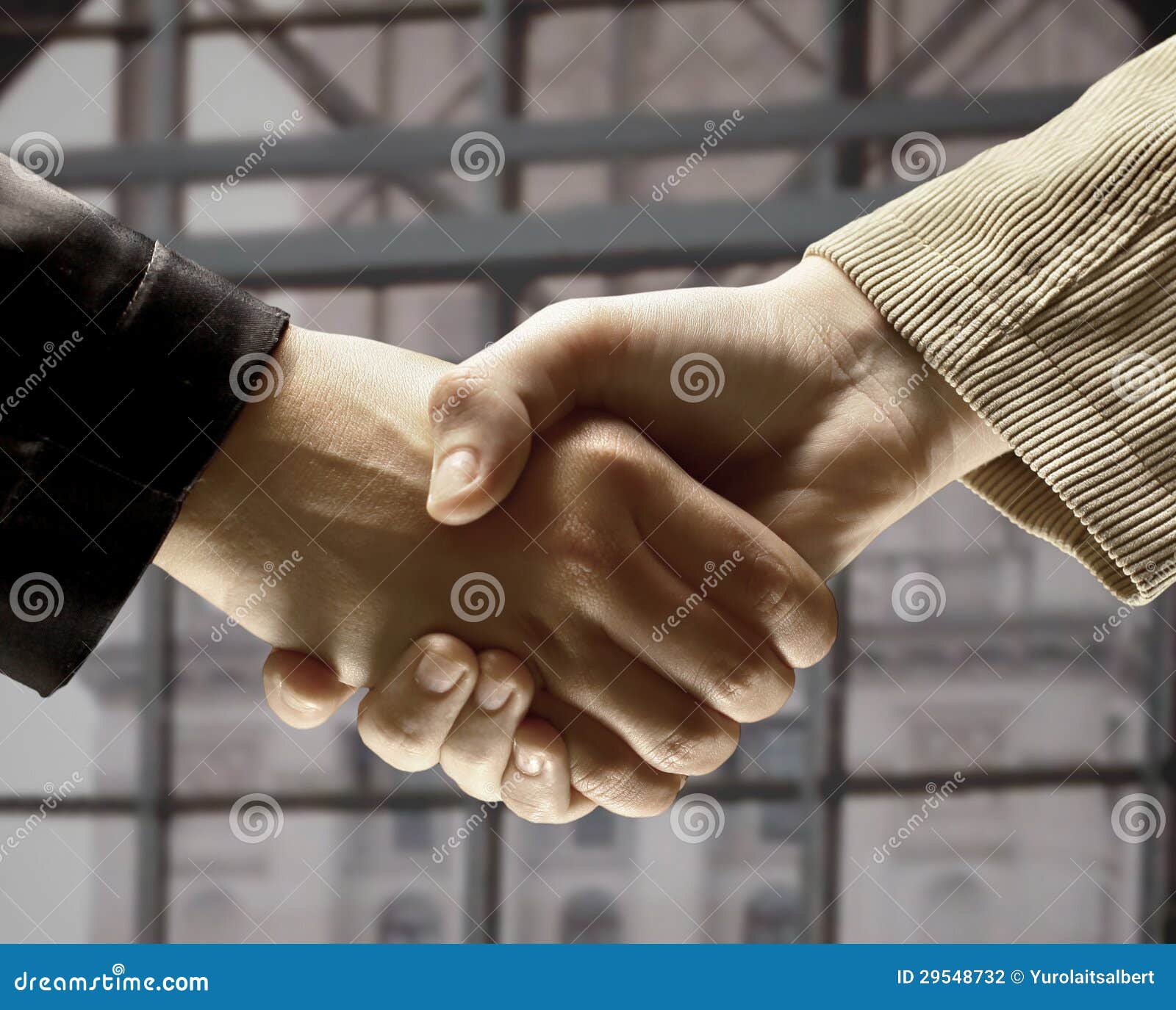 Handshake in the office, stock photo. Image of handshake - 29548732