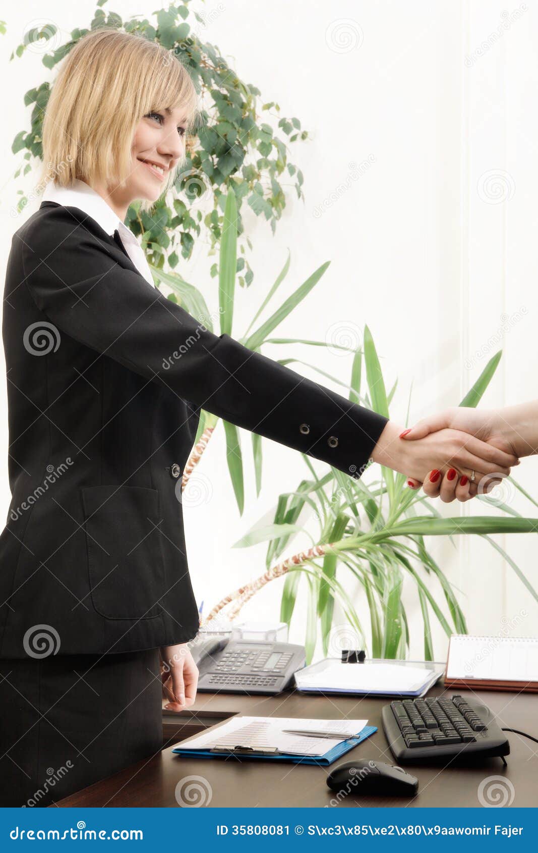Handshake in the office stock image. Image of hand, secretary - 35808081