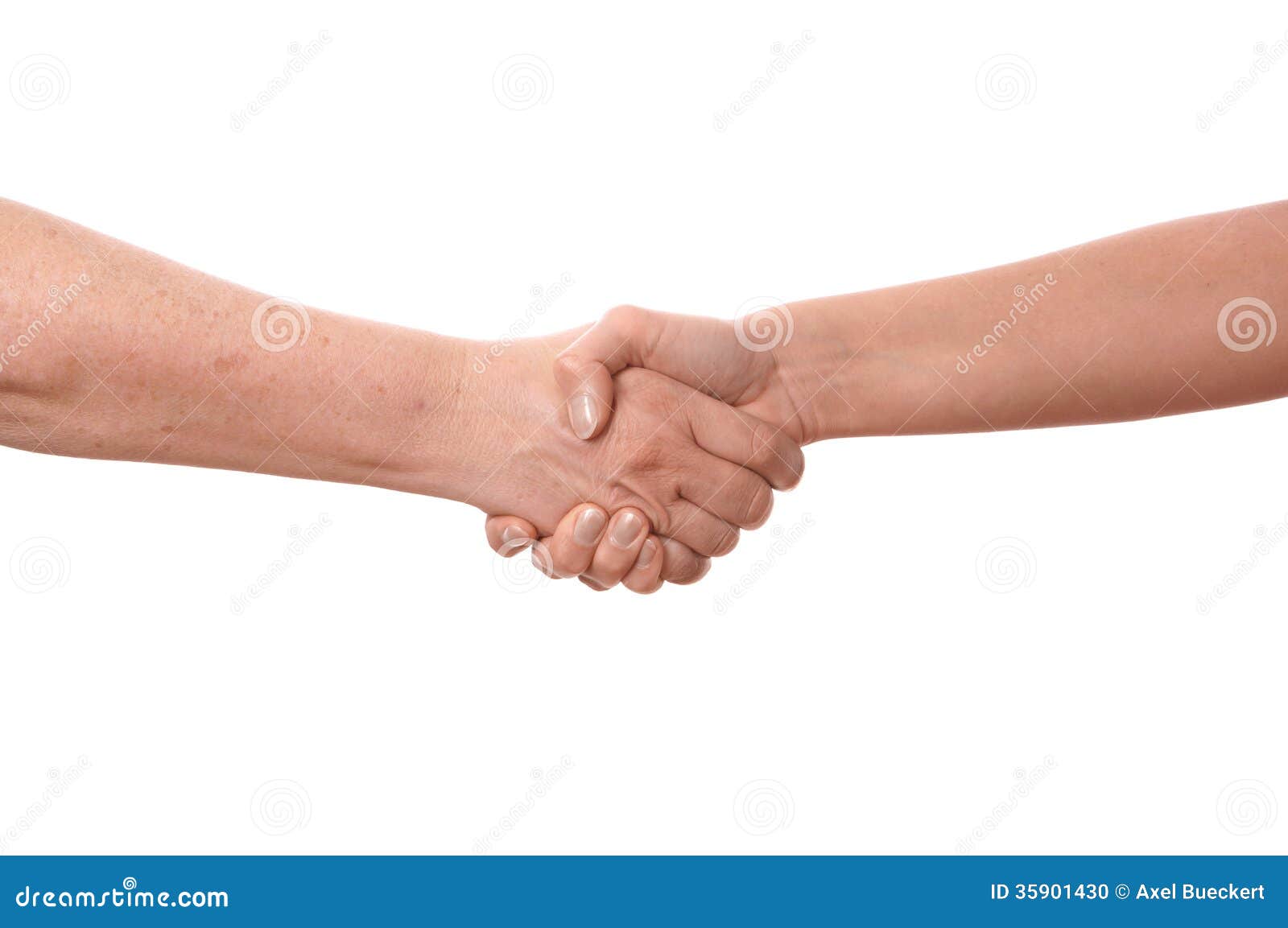 Handshake stock photo. Image of white, network, greeting - 35901430