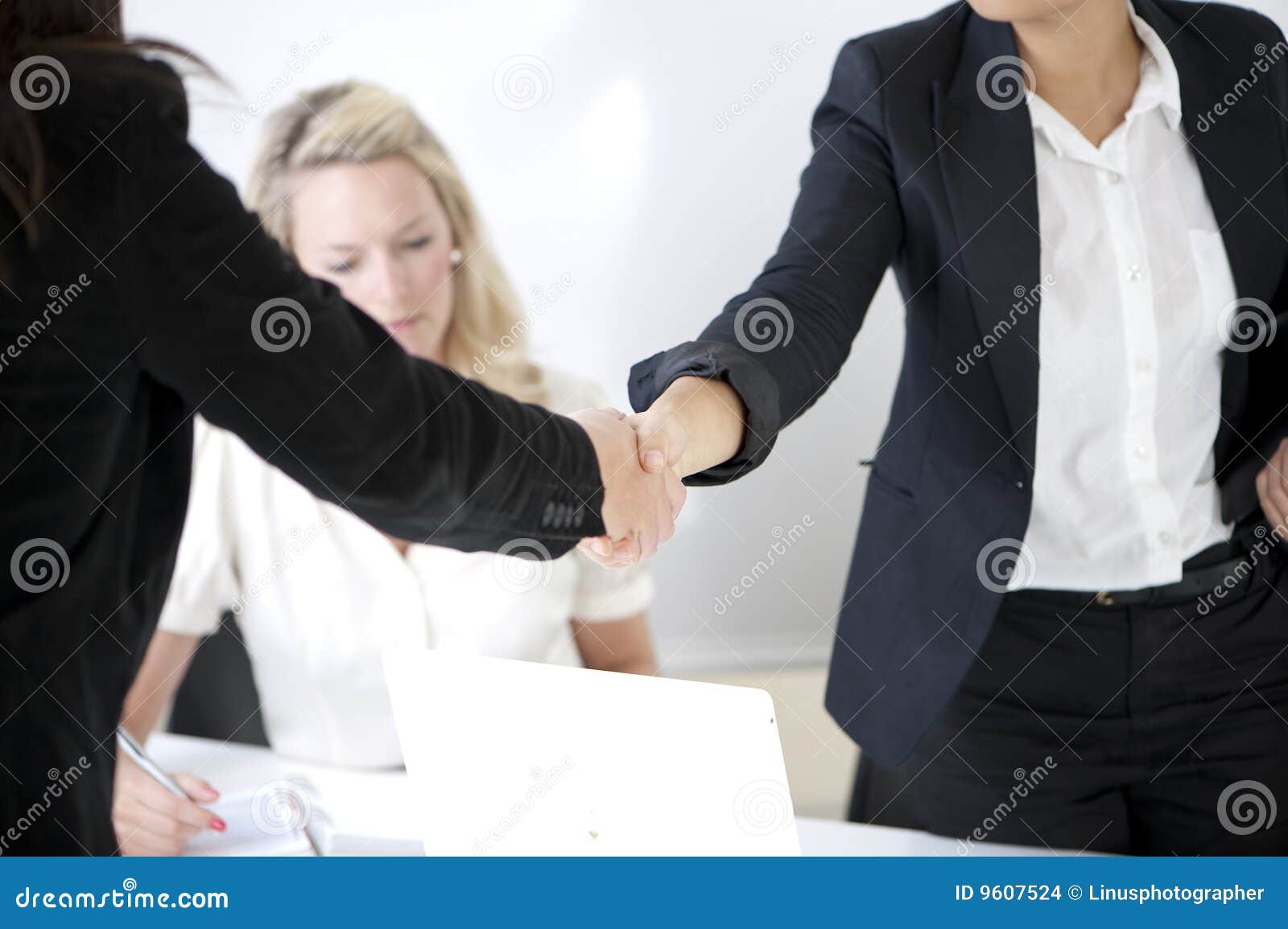Handshake to seal the deal stock photo. Image of executive - 9607524