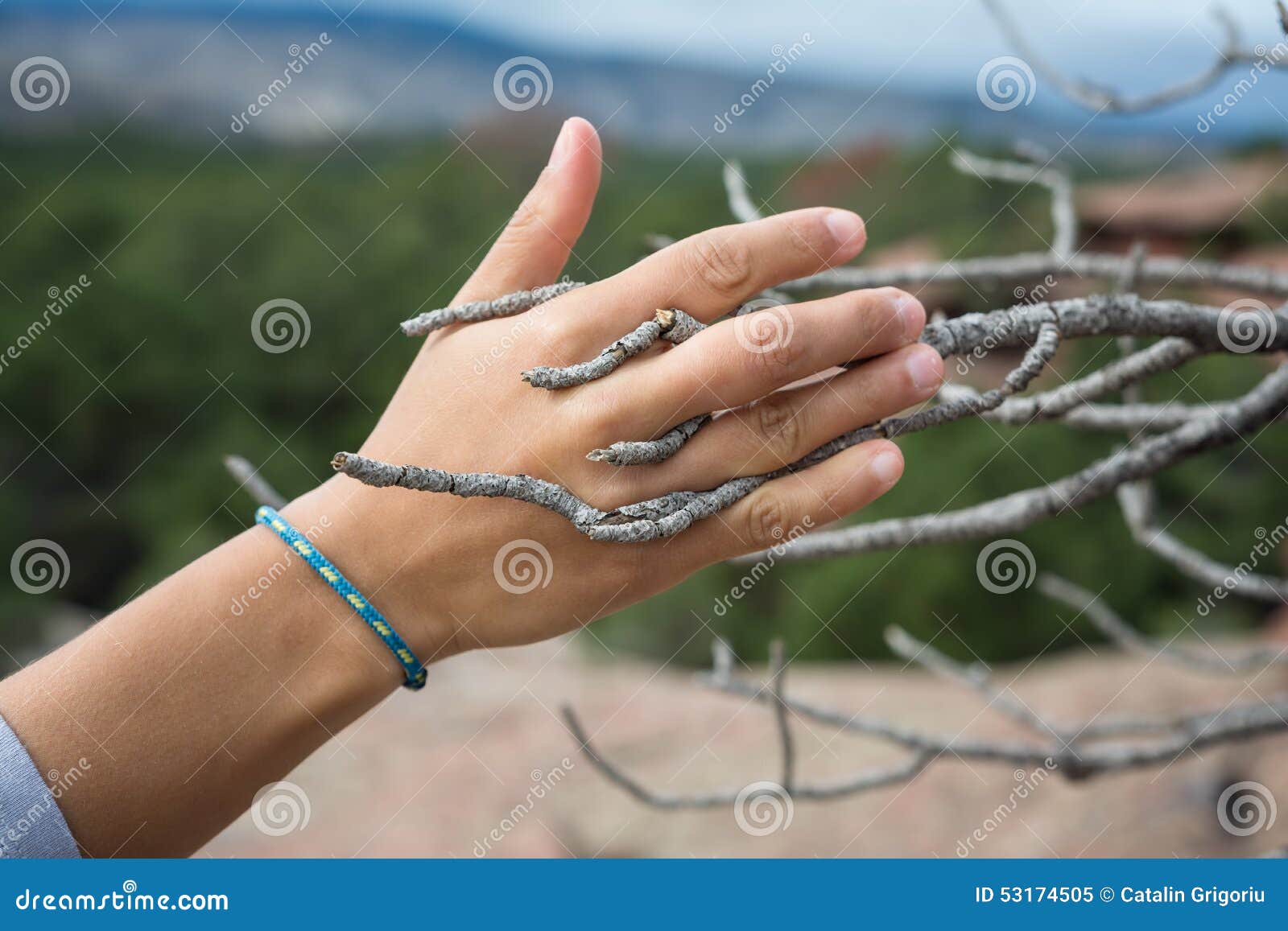 Handshake with a tree stock image. Image of plant, branch - 53174505