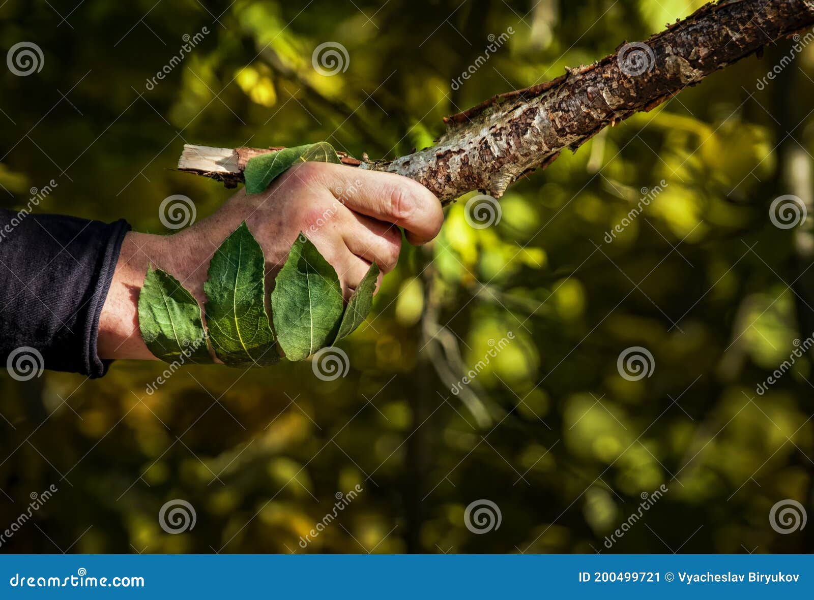 Handshake with Tree and Unity with Nature Stock Image - Image of ...