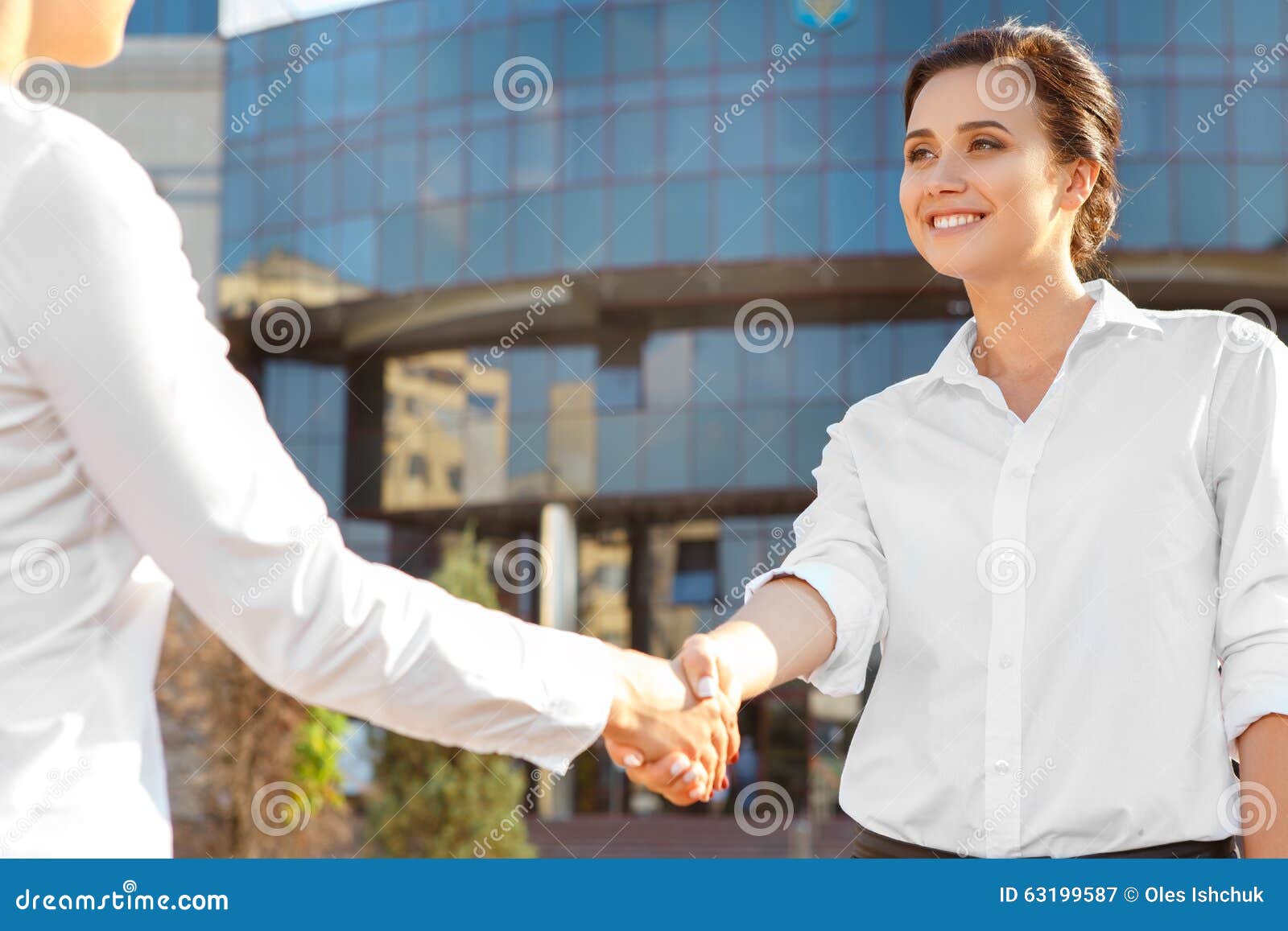 Handshake of Two Business Colleagues Stock Image - Image of meeting ...