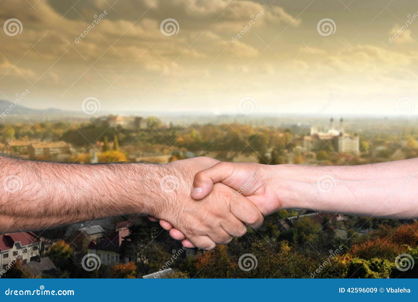 Handshake of two men stock image. Image of deal, gesturing - 42596009