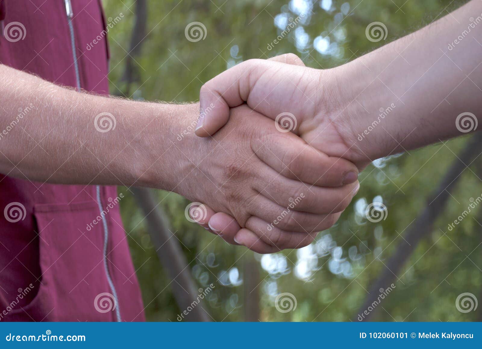 Handshake stock image. Image of communication, congratulating - 102060101
