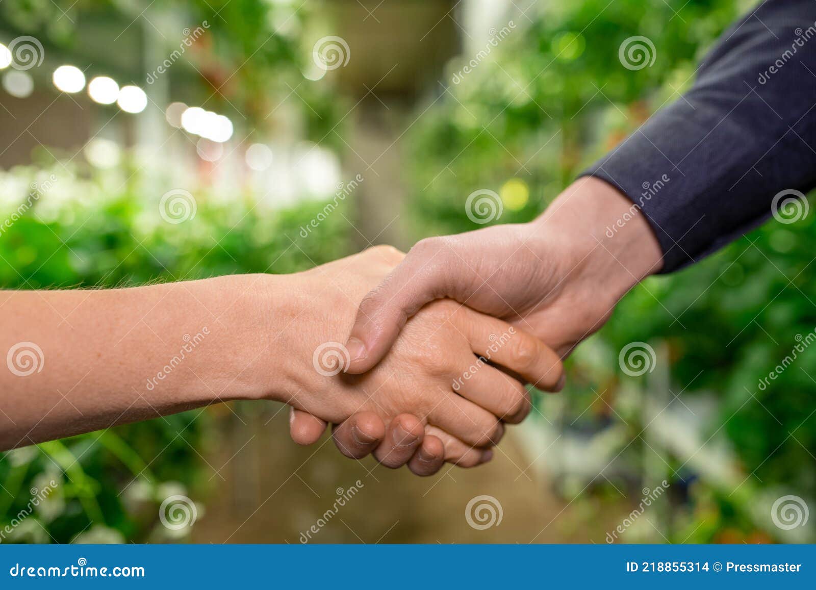 Handshake of Two Young Farmers Greeting One Another Stock Photo - Image ...