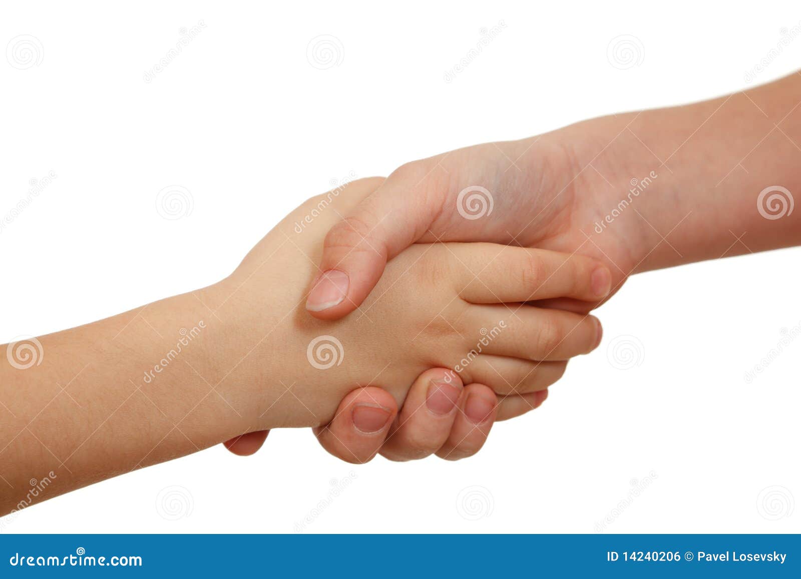 Handshake on White Background Stock Photo - Image of friendship ...