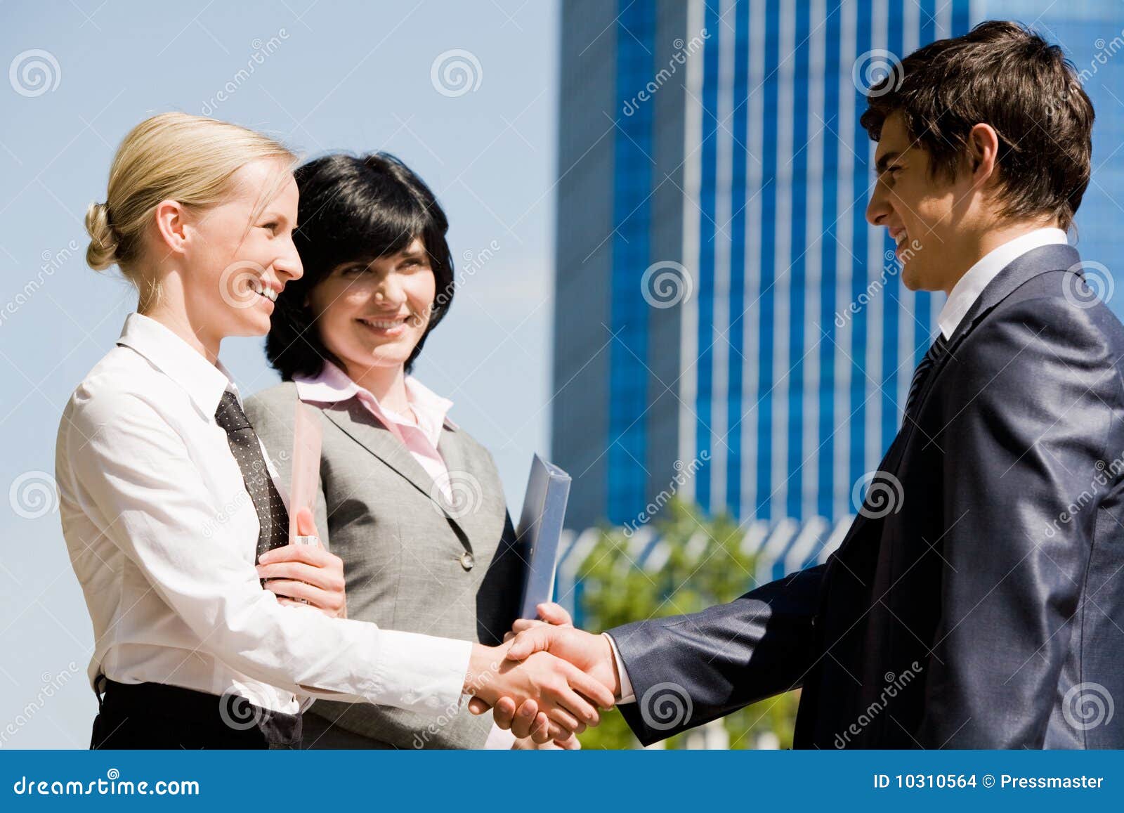 Handshaking partners stock photo. Image of handshake - 10310564